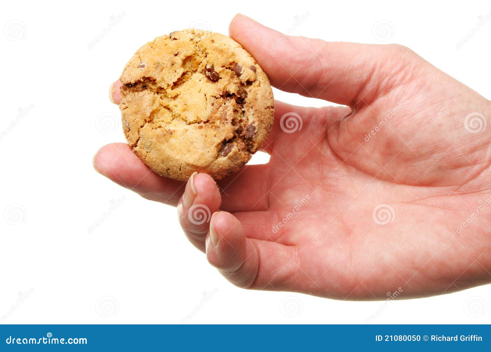 Hand holding a cookie stock photo. Image of palm, snack - 21080050