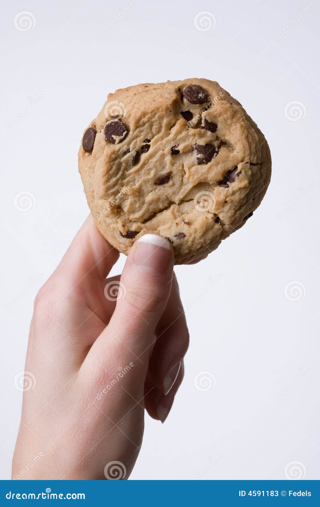 Hand holding cookie stock image. Image of chocolate, fingers - 4591183