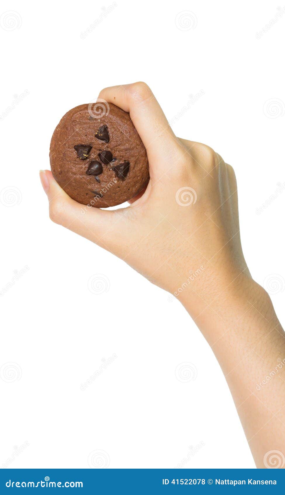 Hand holding cookie stock photo. Image of crunch, dessert - 41522078