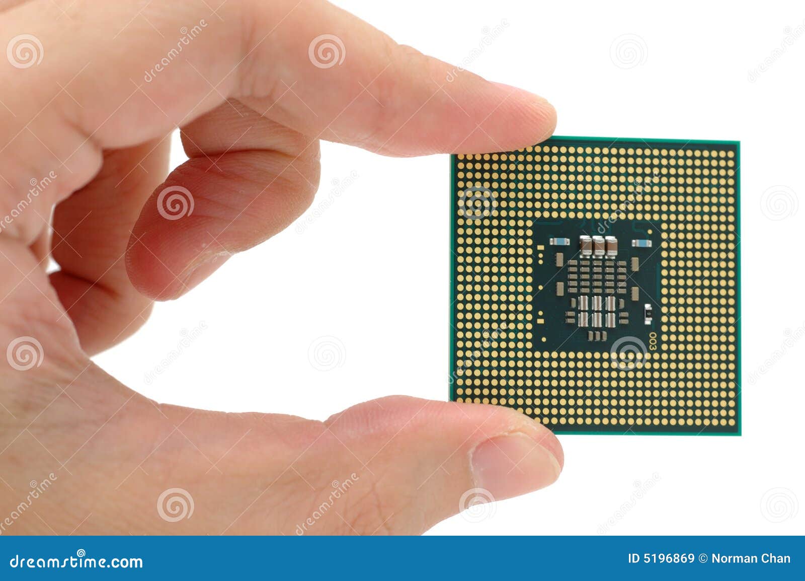 Hand holding a CPU stock image. Image of technology, white - 5196869