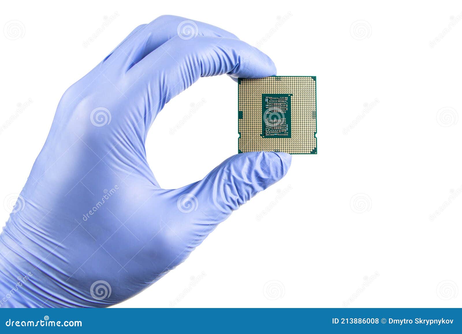 Hand Holding a CPU in Isolated White Blackground Stock Photo - Image of ...