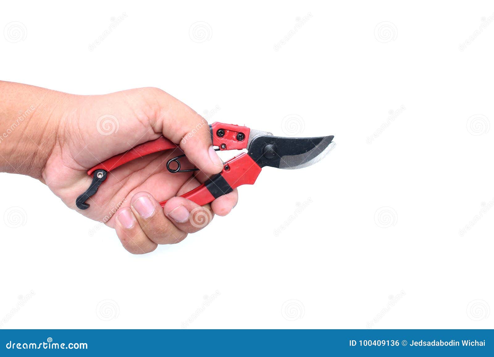 Hand Holding Cutting Pliers of Tree Stock Photo - Image of cutting ...