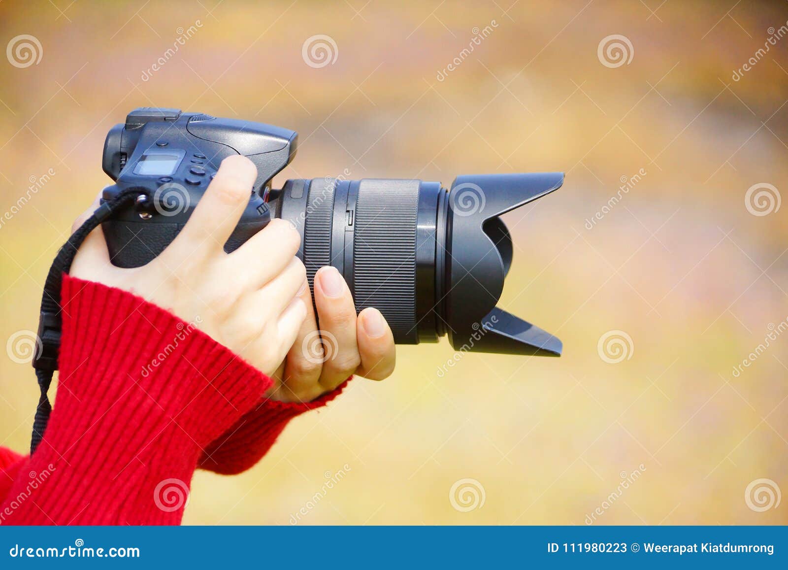 Hand Holding a Digital Camer Stock Image - Image of background ...