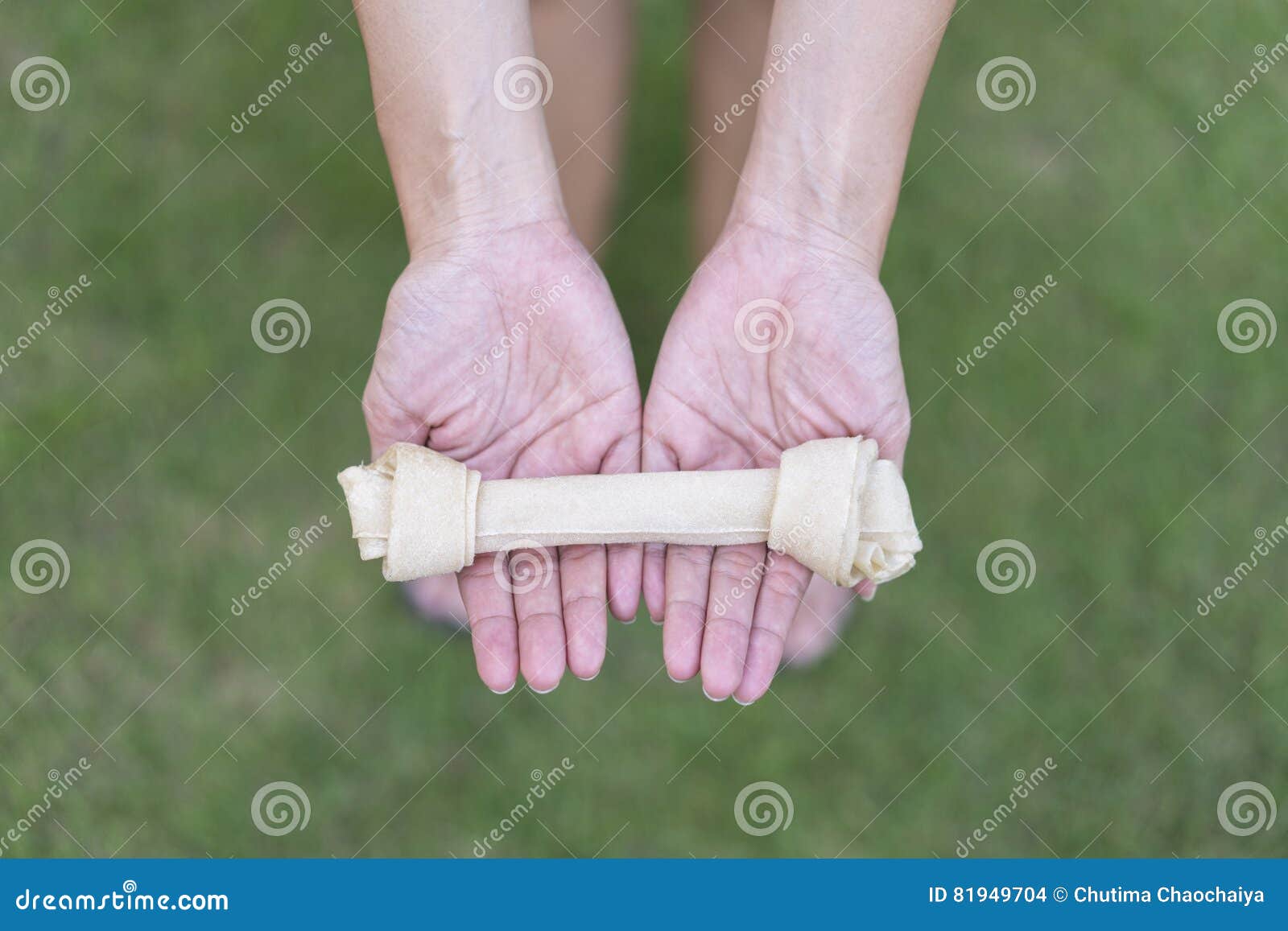 Hand holding a dog bone stock photo. Image of large, edible - 81949704
