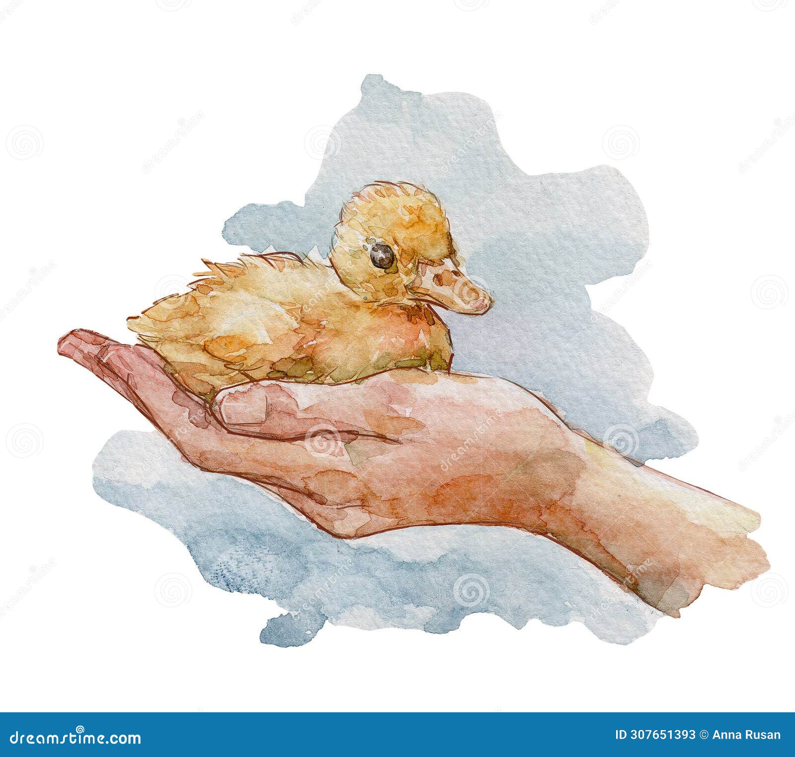 Hand Holding a Duck Carefully Stock Illustration - Illustration of ...
