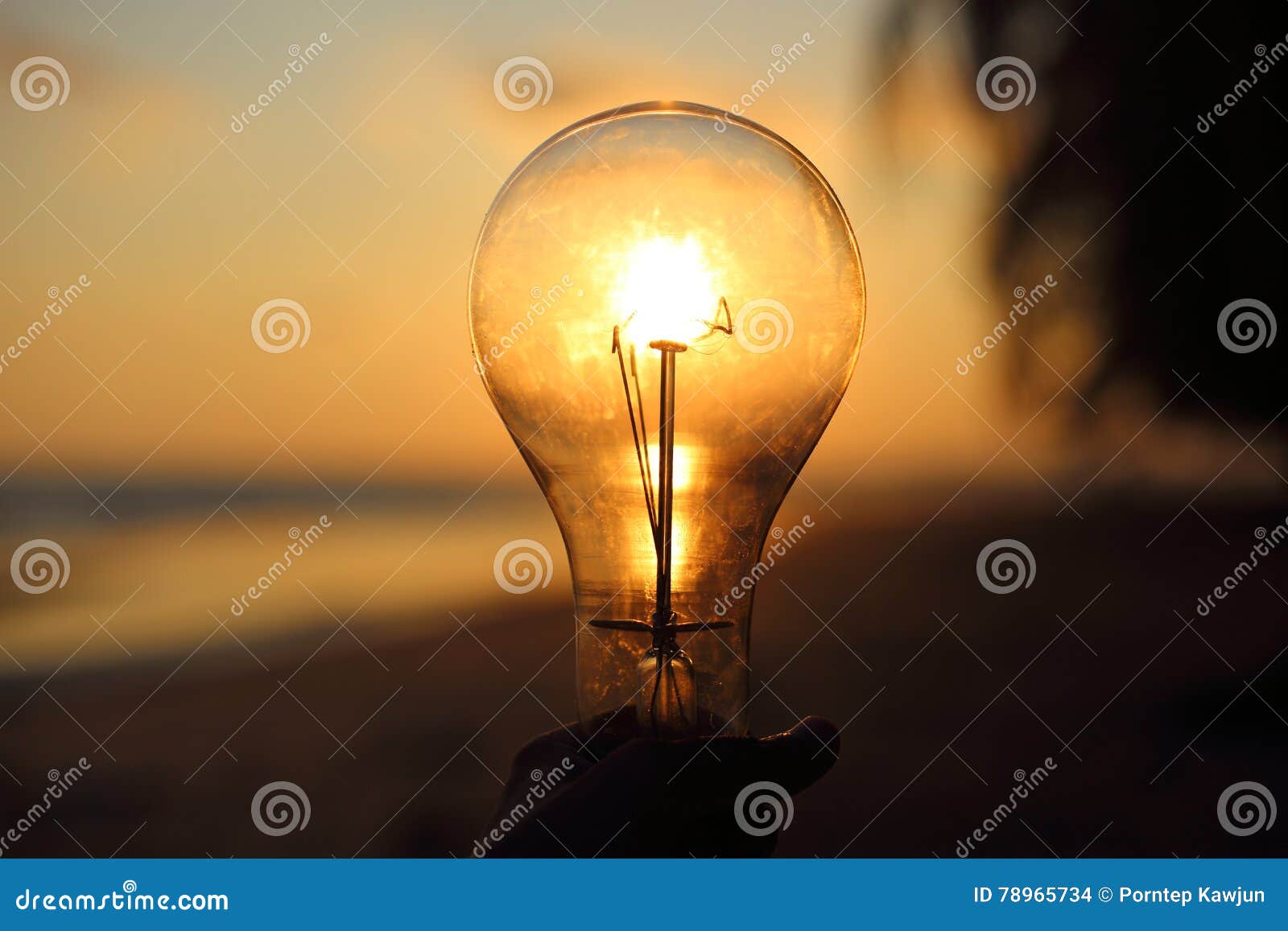 Hand Holding a Electric Light Bulb Stock Photo - Image of luminous ...