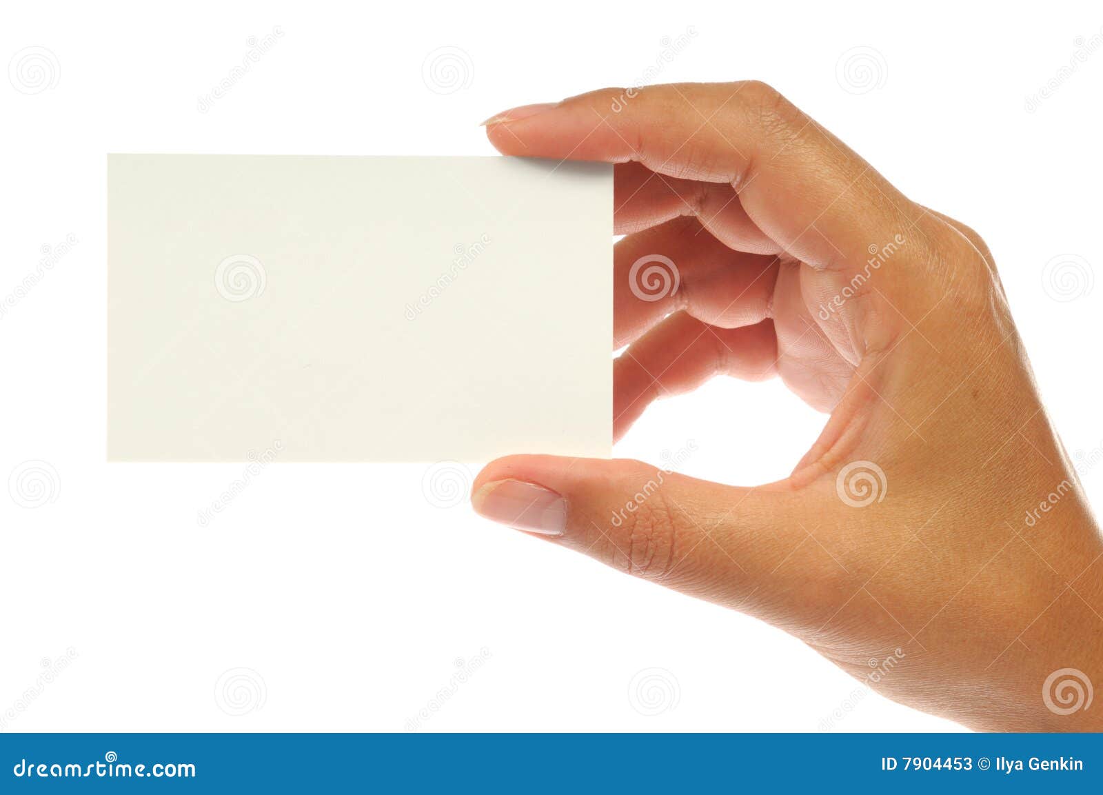 Hand Holding an Empty Business Card Stock Image - Image of career ...