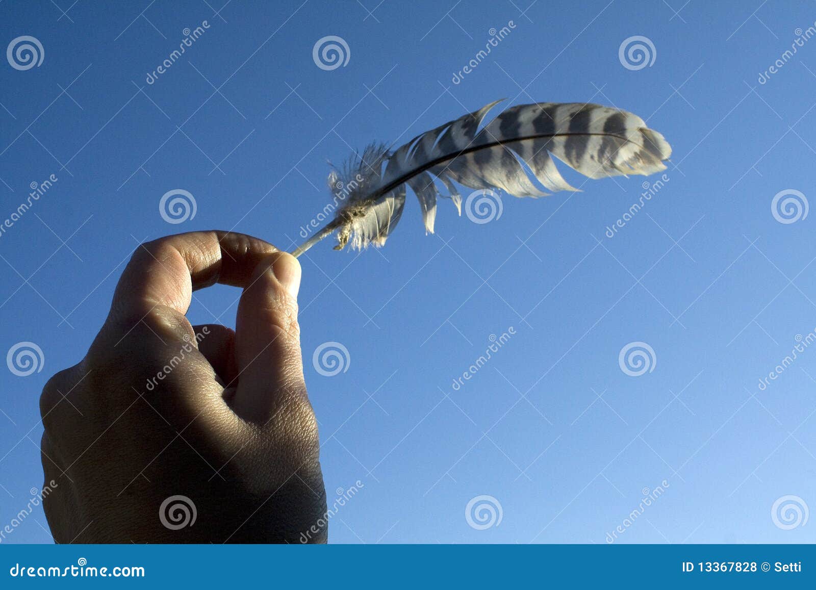 Hand holding feather stock photo. Image of hold, blue - 13367828