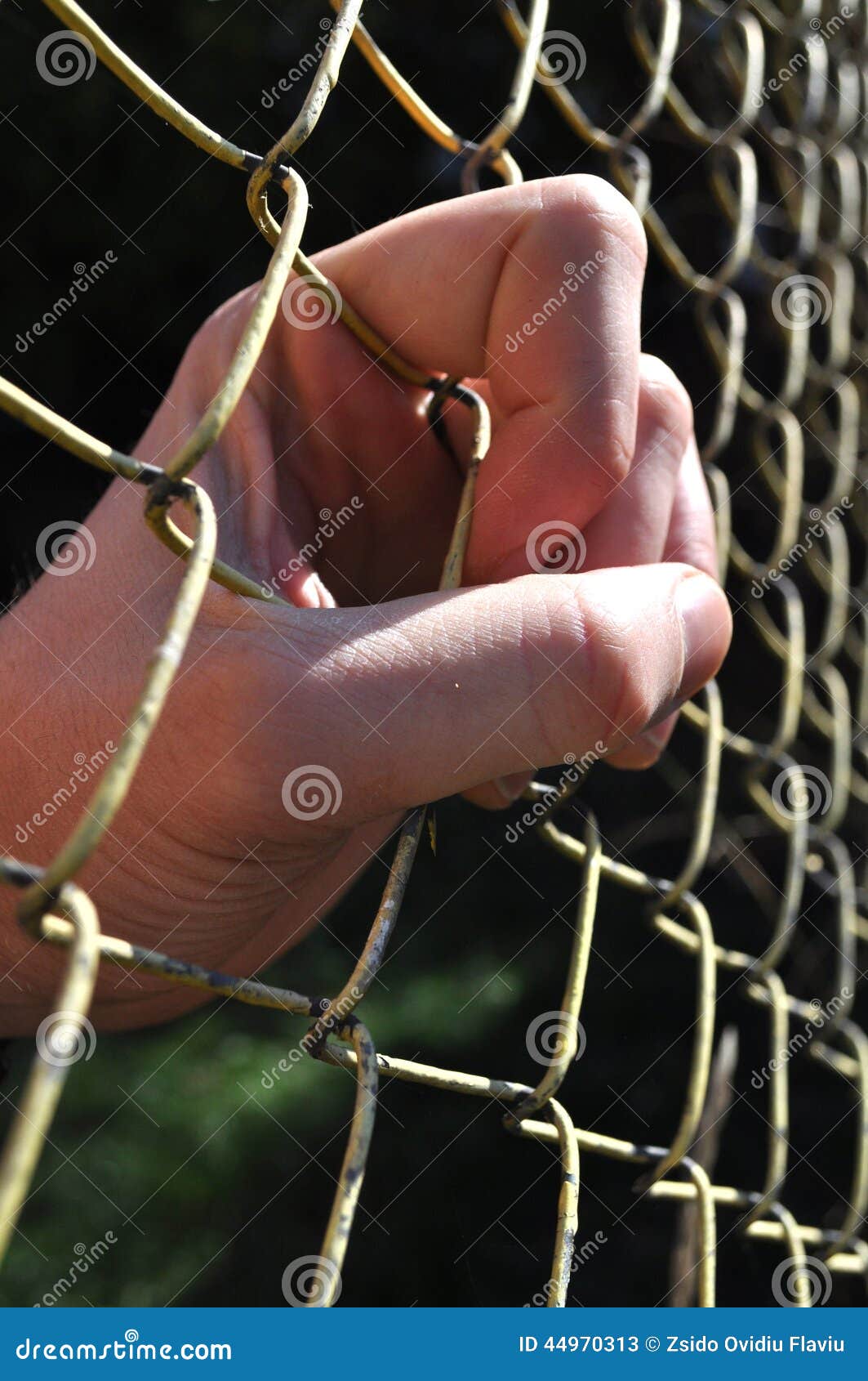 Hand holding fence stock image. Image of invader, hope - 44970313