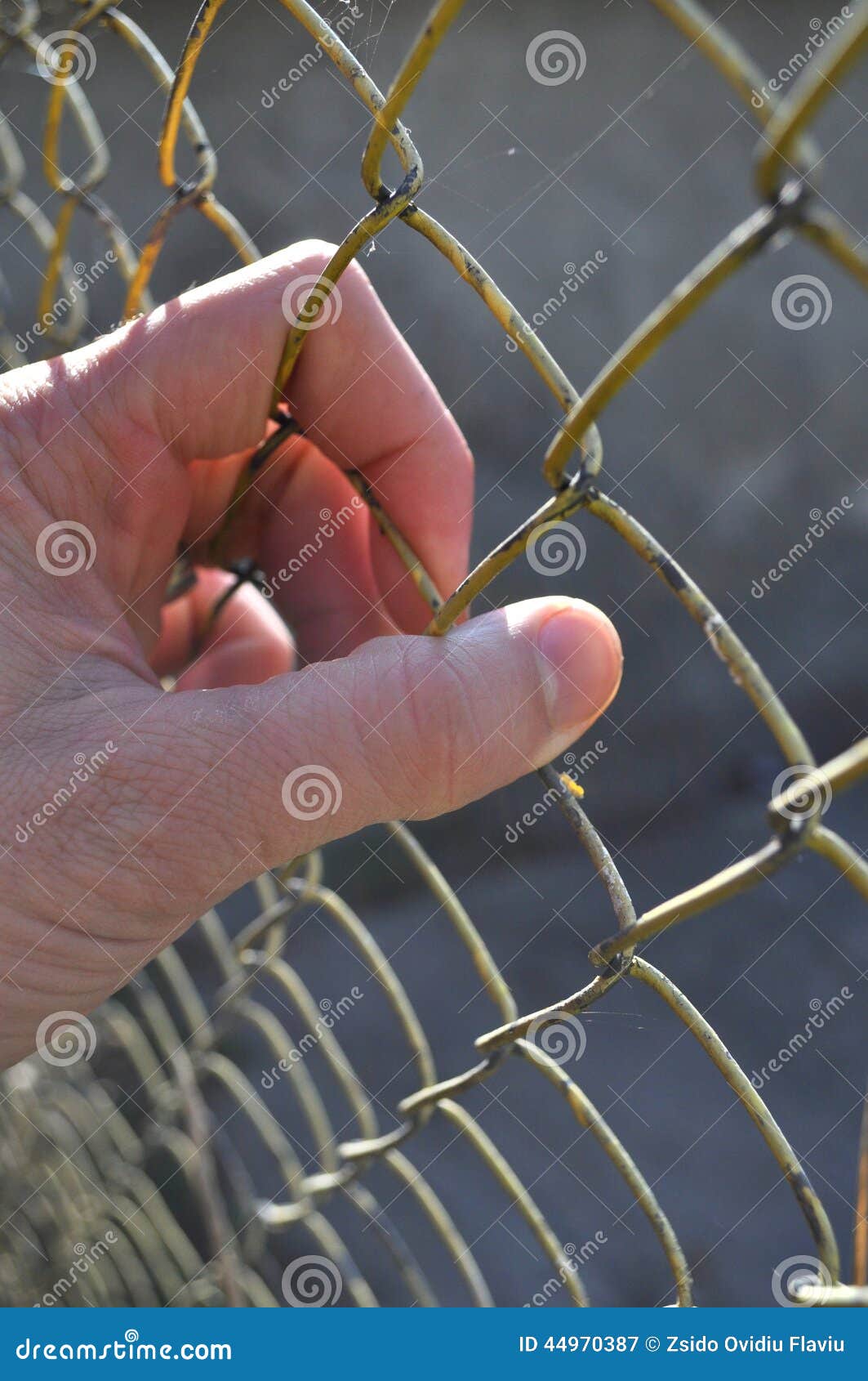 Hand holding fence stock image. Image of jail, hand, grasp - 44970387