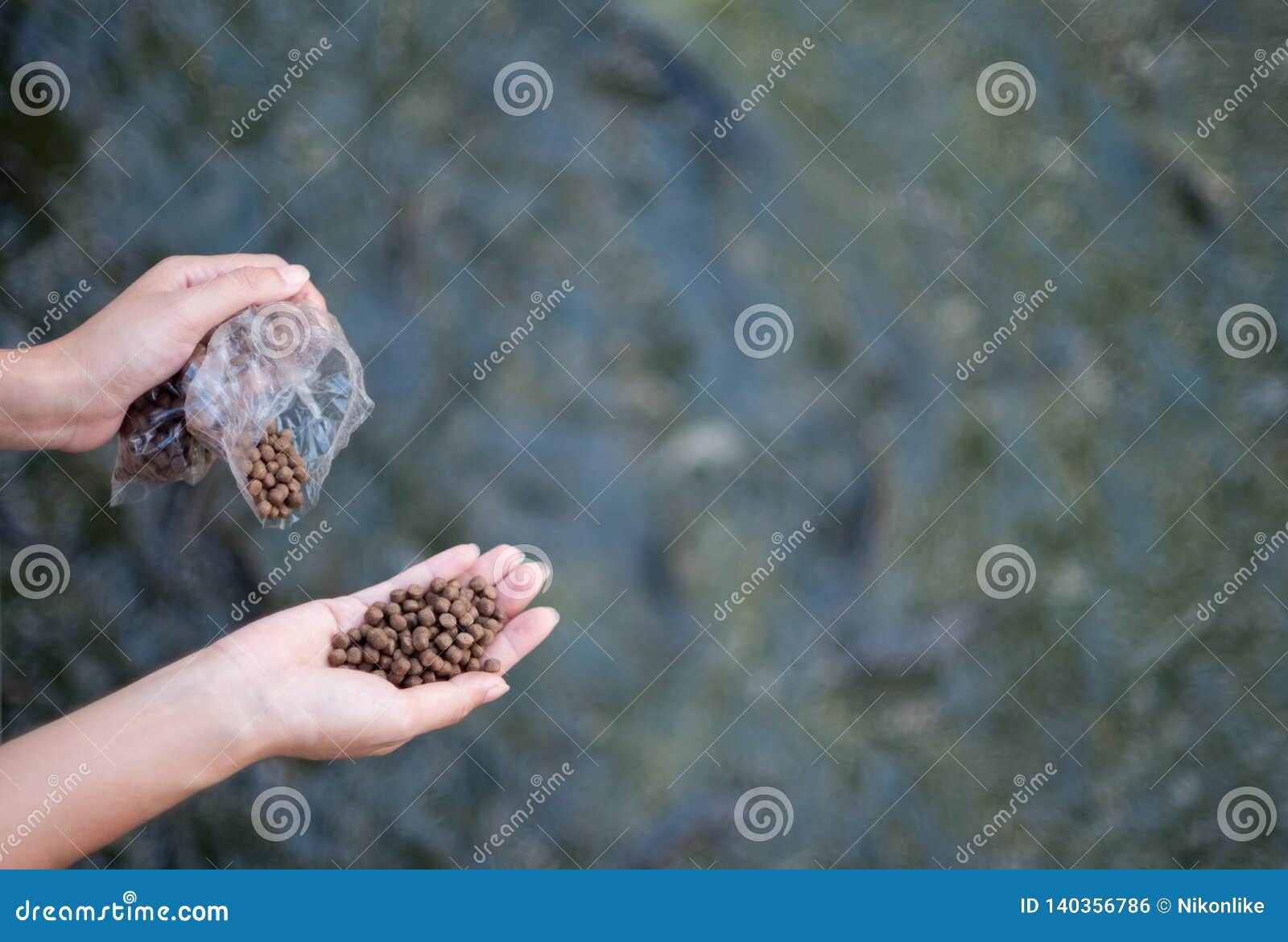 Hand holding fish feeding stock photo. Image of grain - 140356786