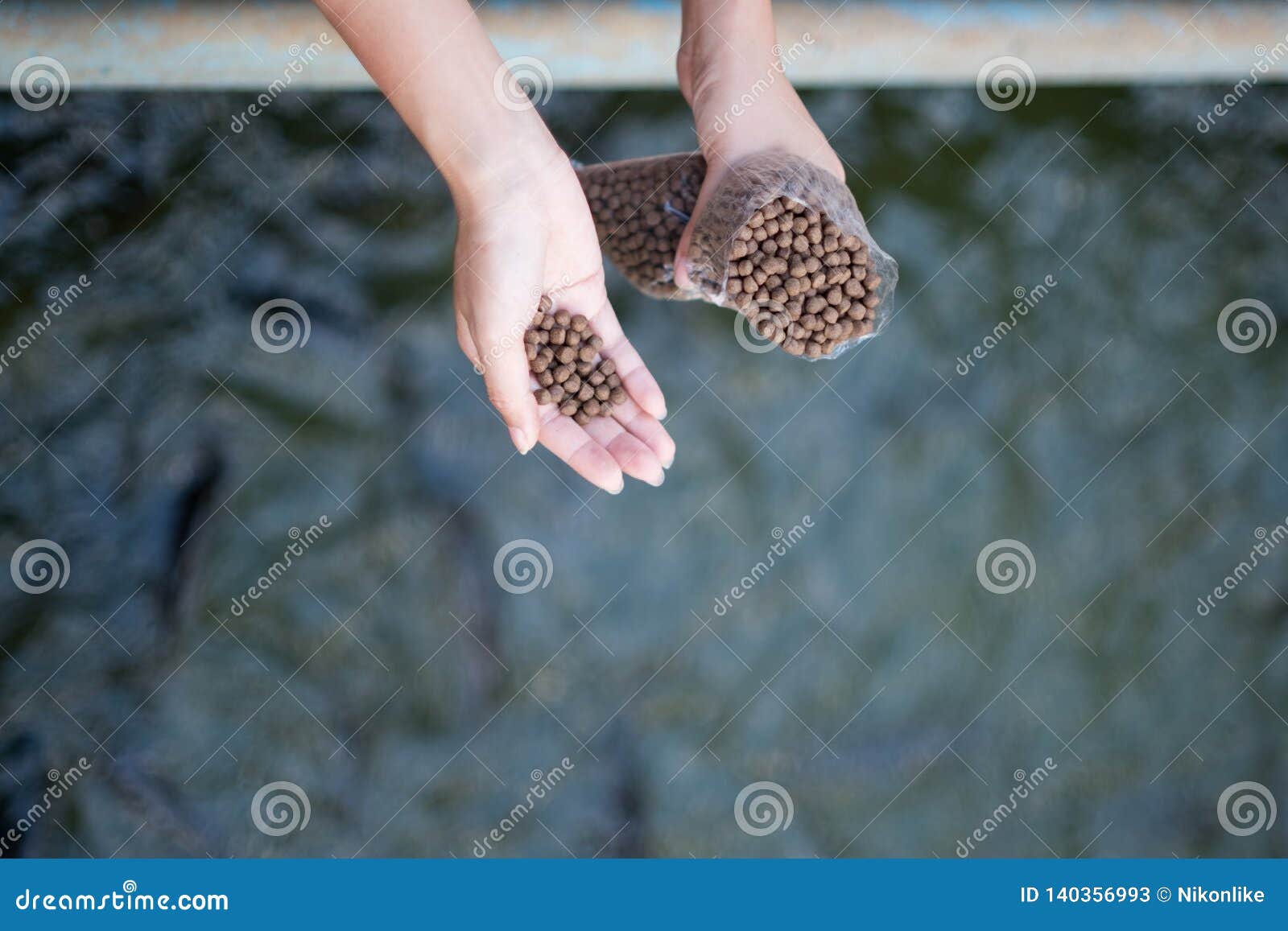 Hand holding fish feeding stock image. Image of black - 140356993