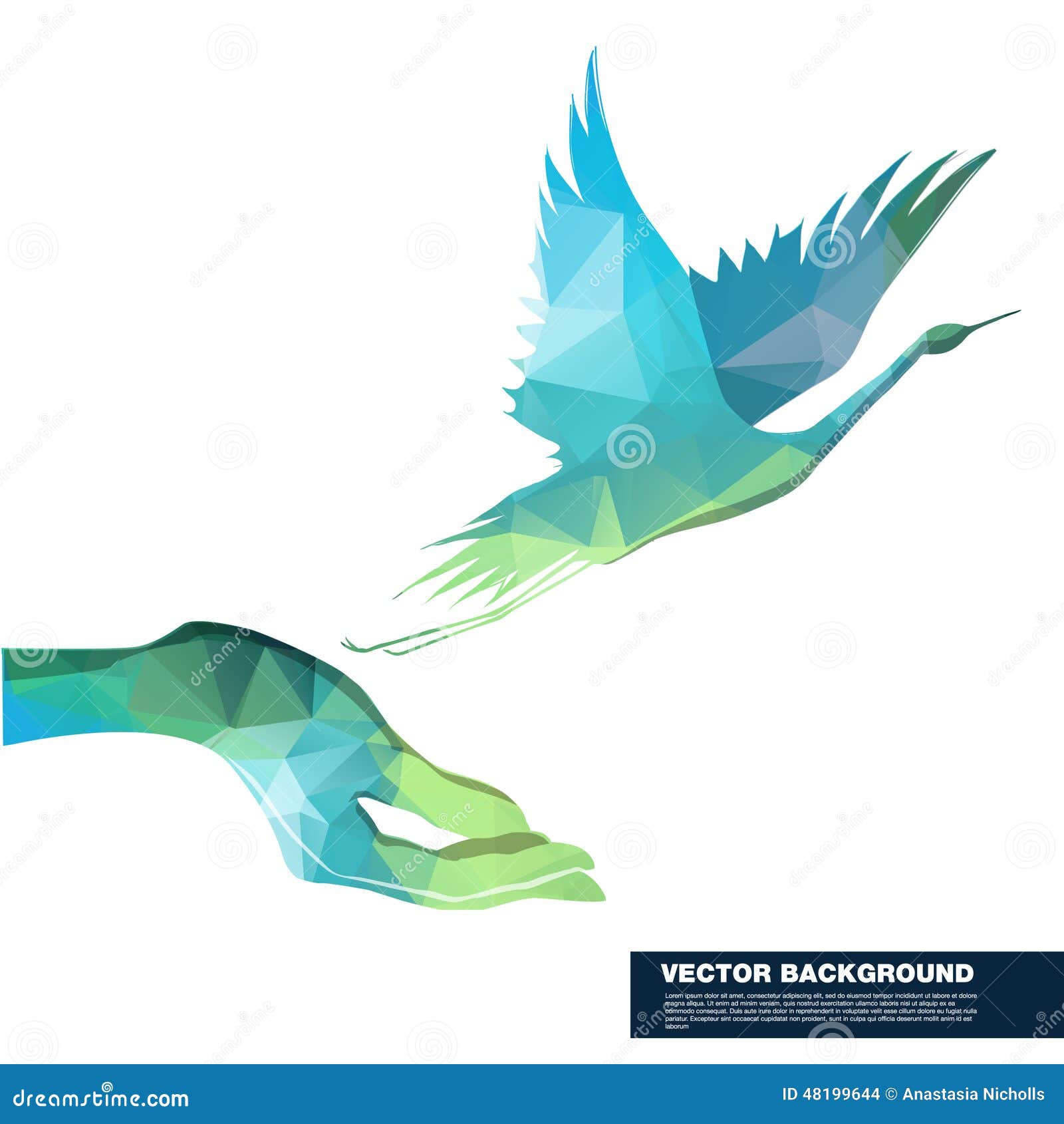 Hand holding flying bird. stock vector. Illustration of nature - 48199644