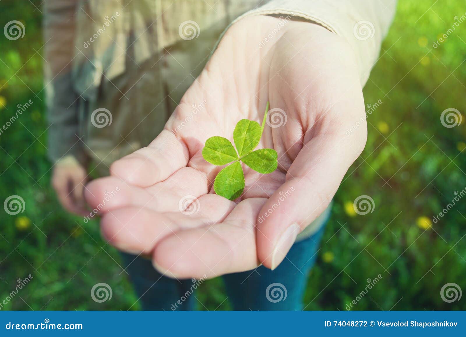 Hand Holding a Four Leaf Clover Stock Photo - Image of fresh, holiday ...