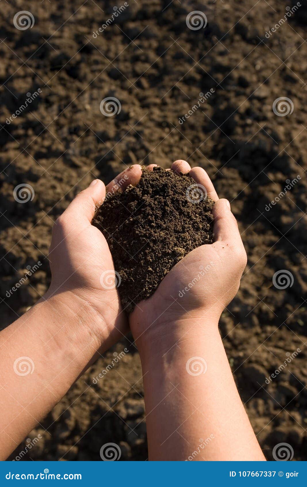 Hands holding soil stock image. Image of caucasian, plant - 107667337