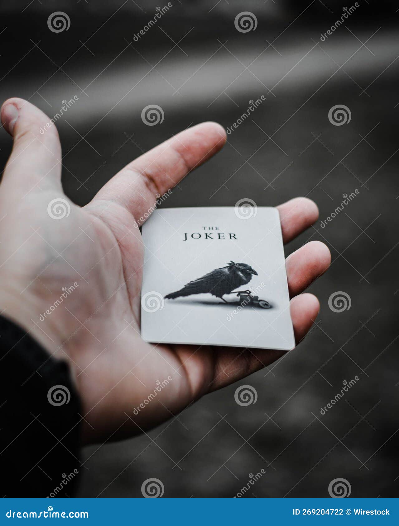 Hand Holding a Game Card with Crow Stock Photo - Image of hand, space ...