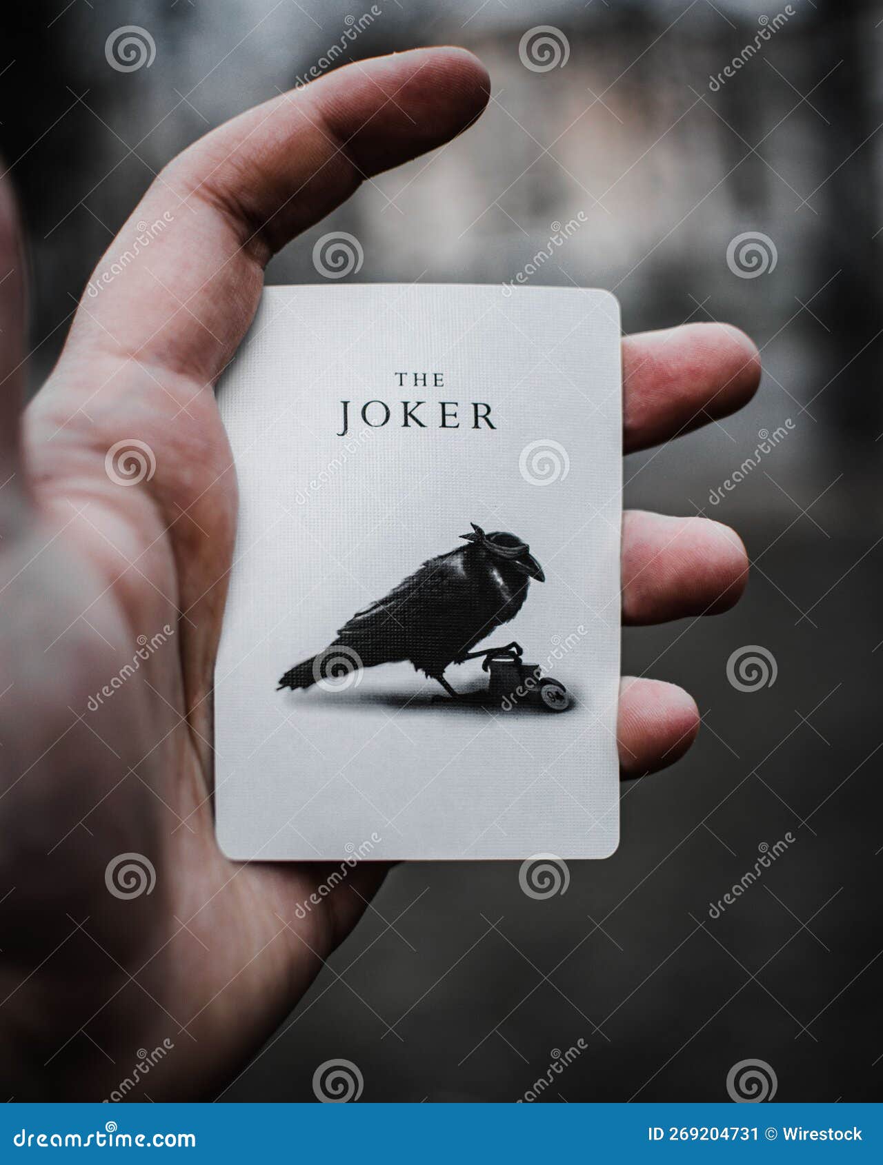 Hand Holding a Game Card with Crow Stock Image - Image of ball, chance ...