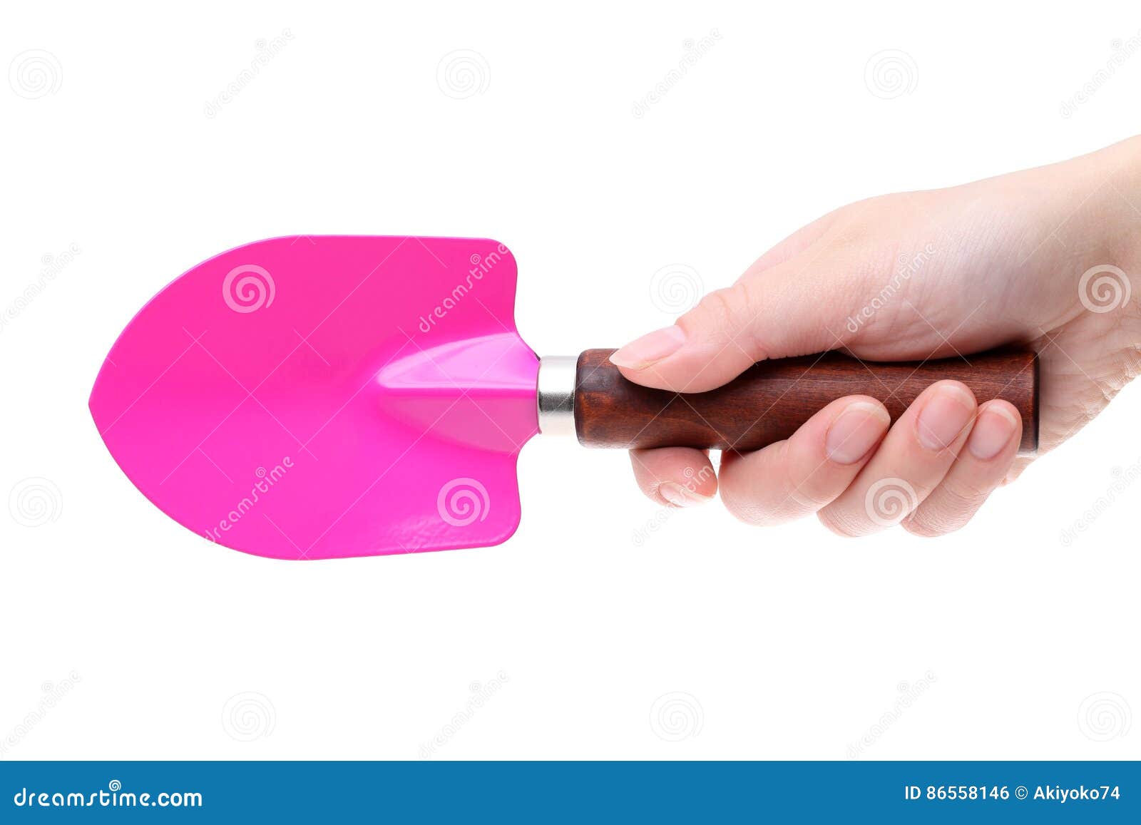Hand holding garden shovel stock photo. Image of farm - 86558146