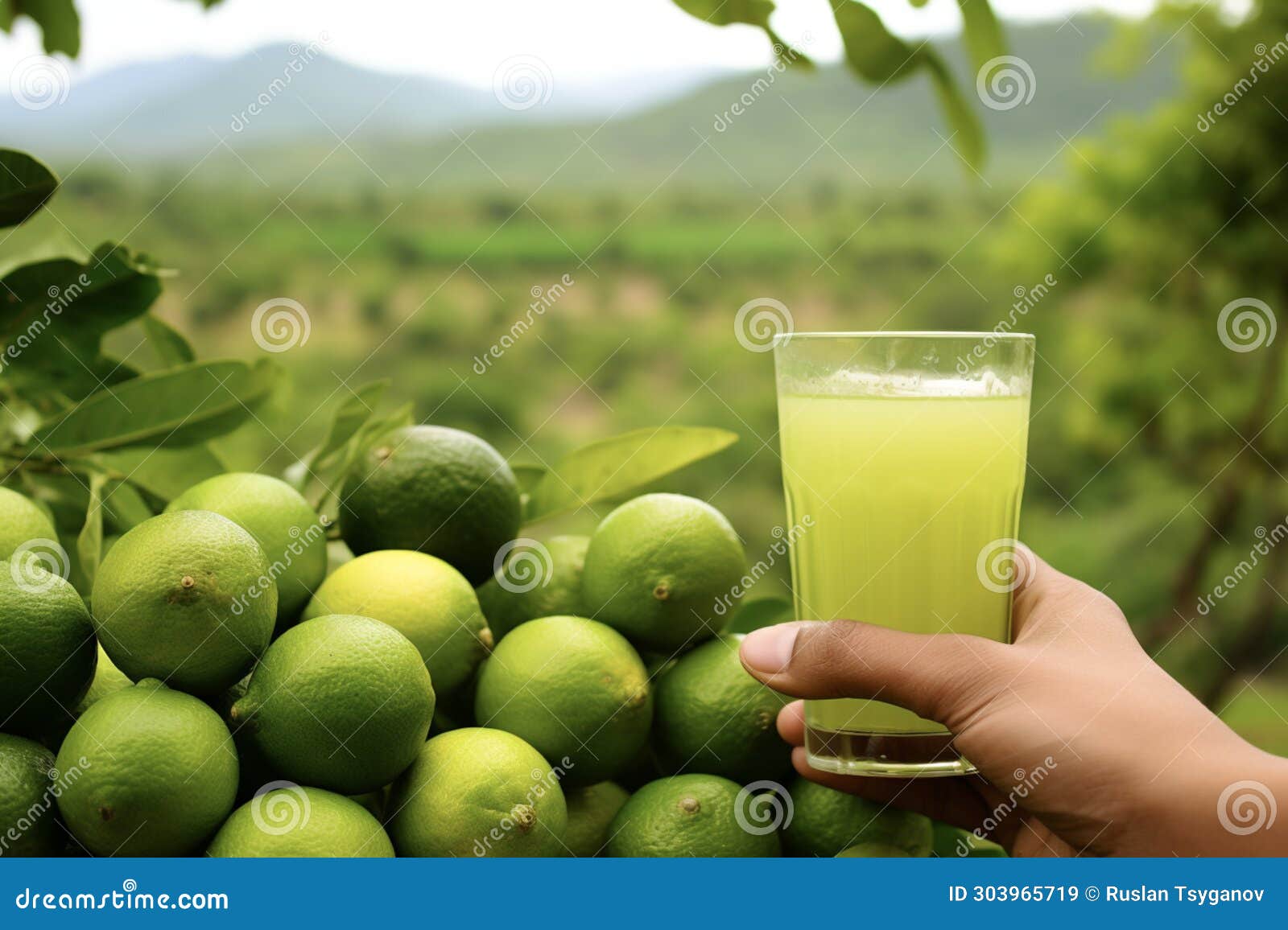 Hand Holding a Glass with Freshly Squeezed Lime Juice Stock ...