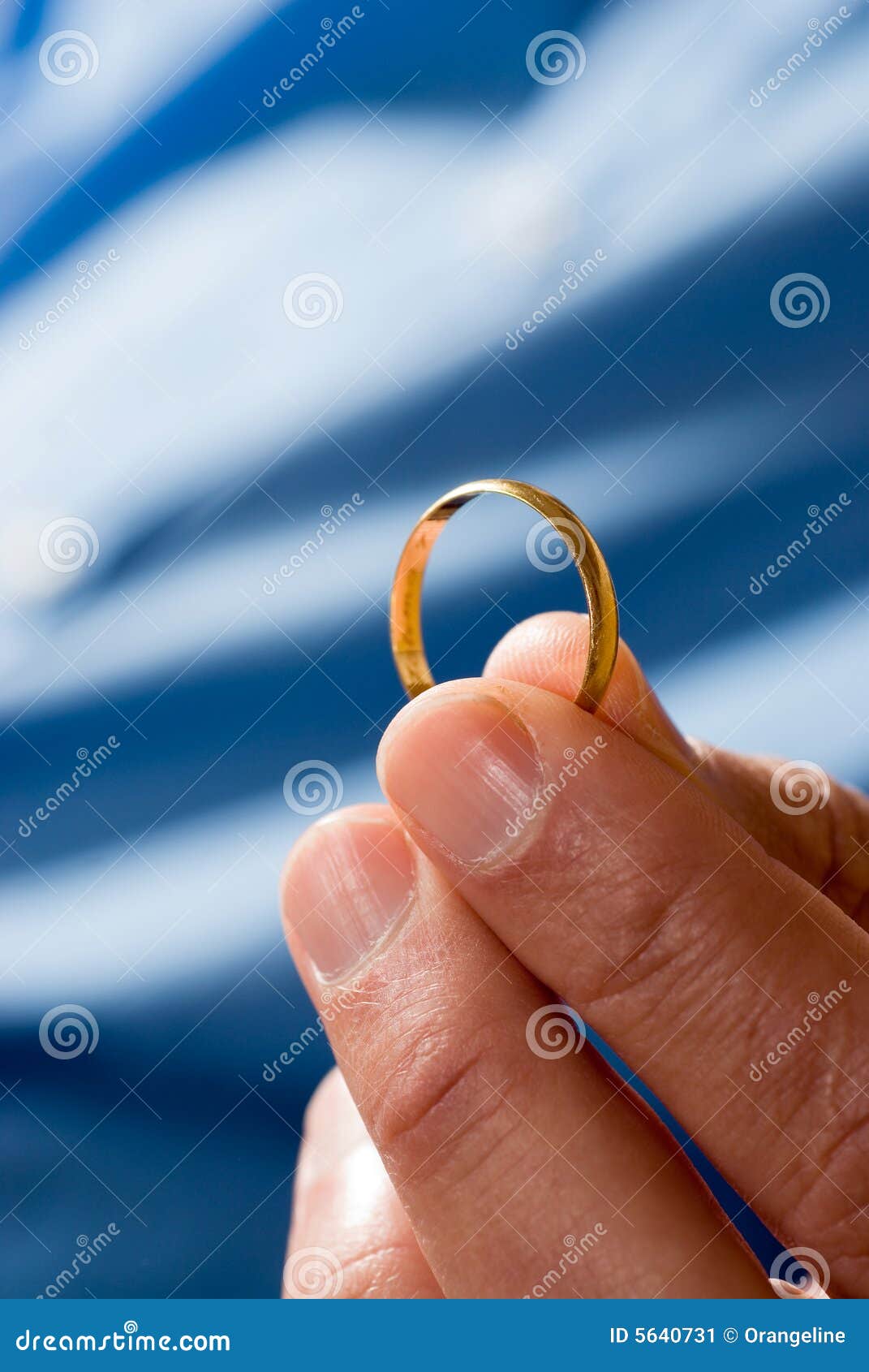 Hand Holding Gold Wedding Band-Vertical Stock Image - Image of years ...