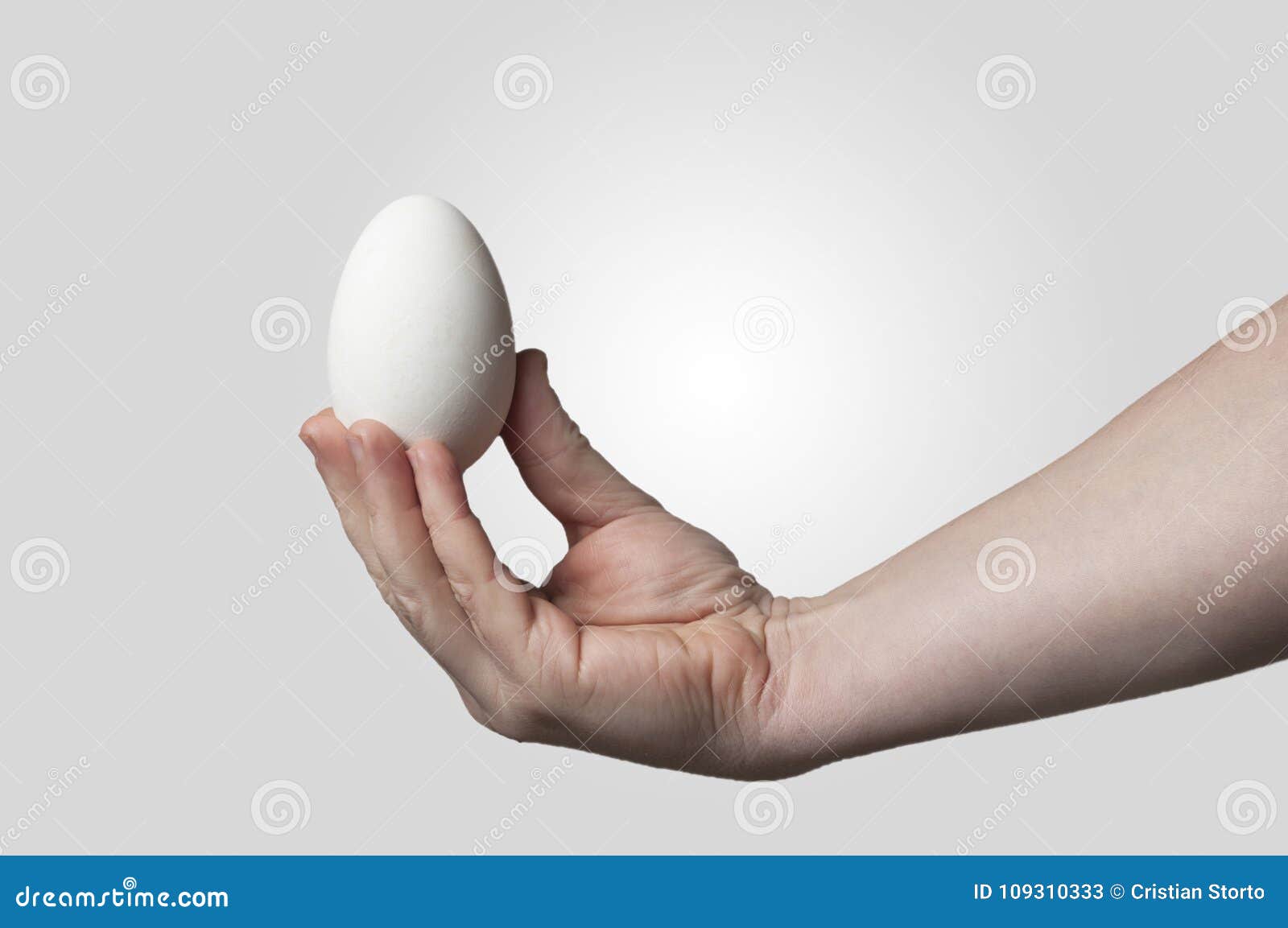 Hand Goose Stock Images - Download 615 Royalty Free Photos