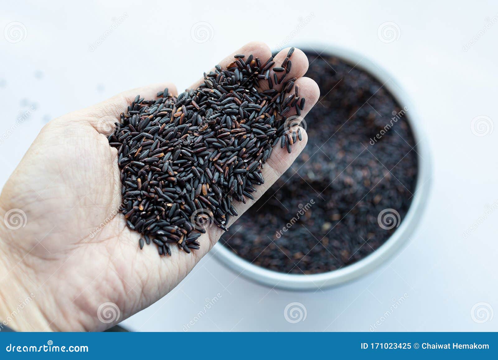 Hand Holding Grain Rice Berry, Black Rice on Hand Stock Image - Image ...
