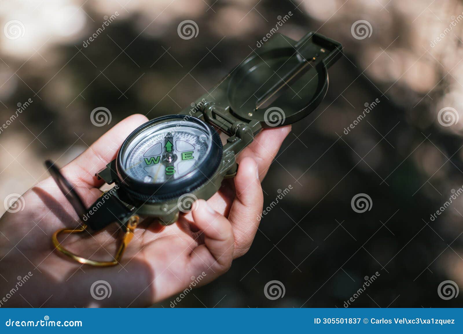 Hand Holding a Green Compass in the Forest Stock Image - Image of ...