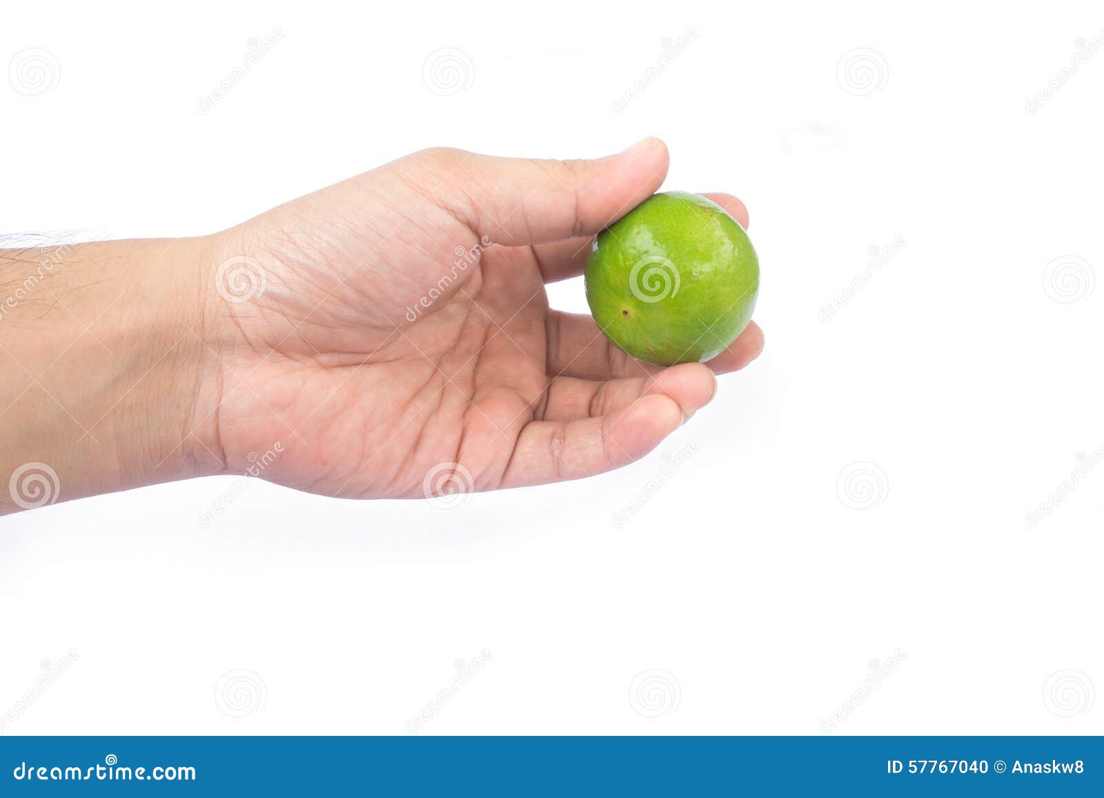 Hand holding green lime stock photo. Image of slice, hand - 57767040