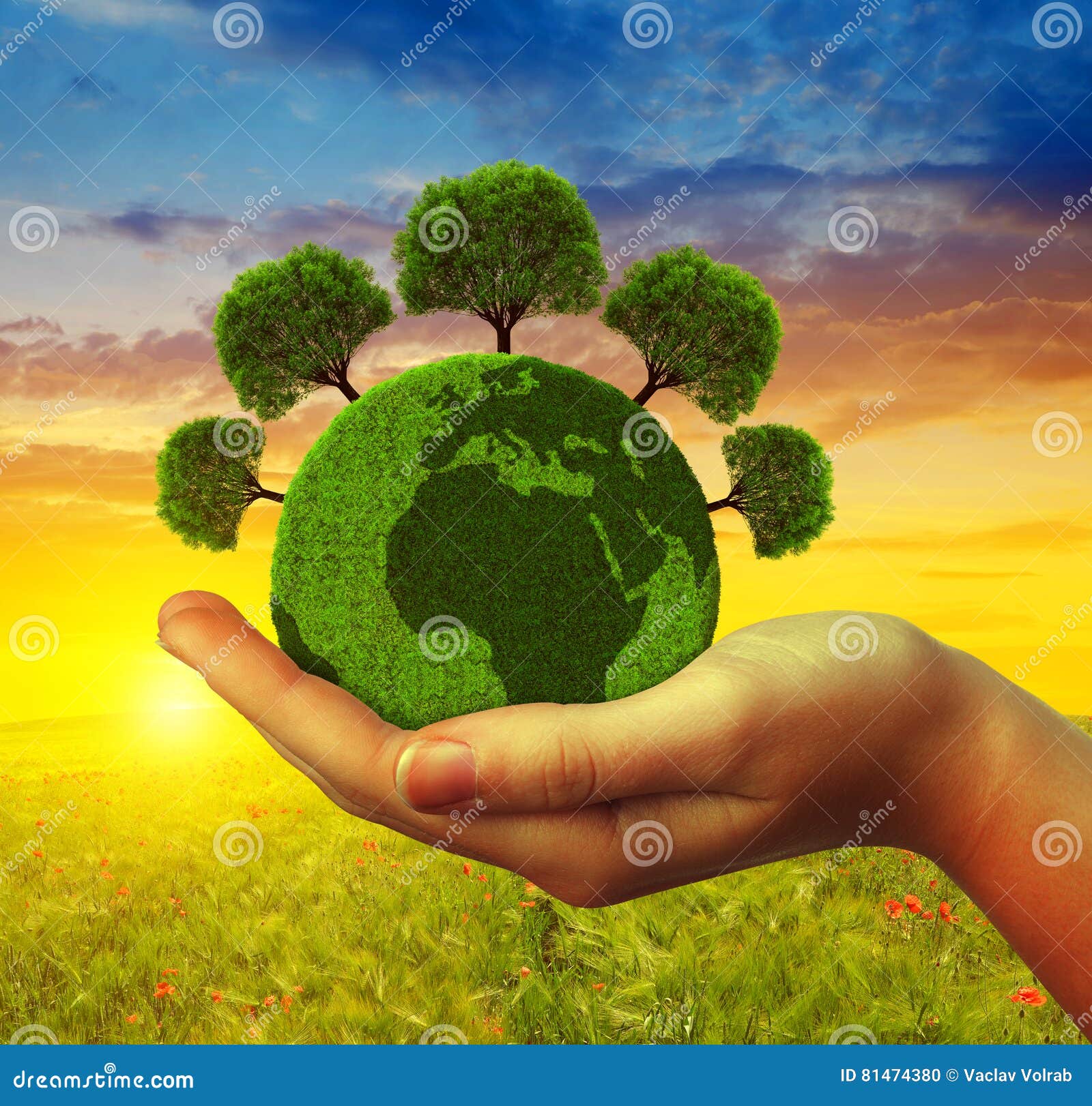 Hand Holding Green Planet with Trees Stock Photo - Image of little ...