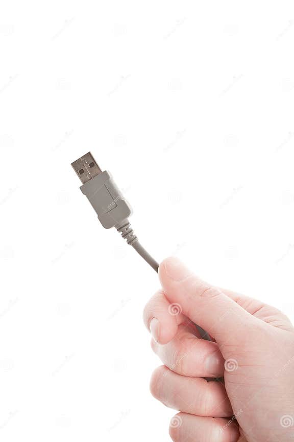 Hand Holding Grey USB Cable Stock Photo - Image of information ...