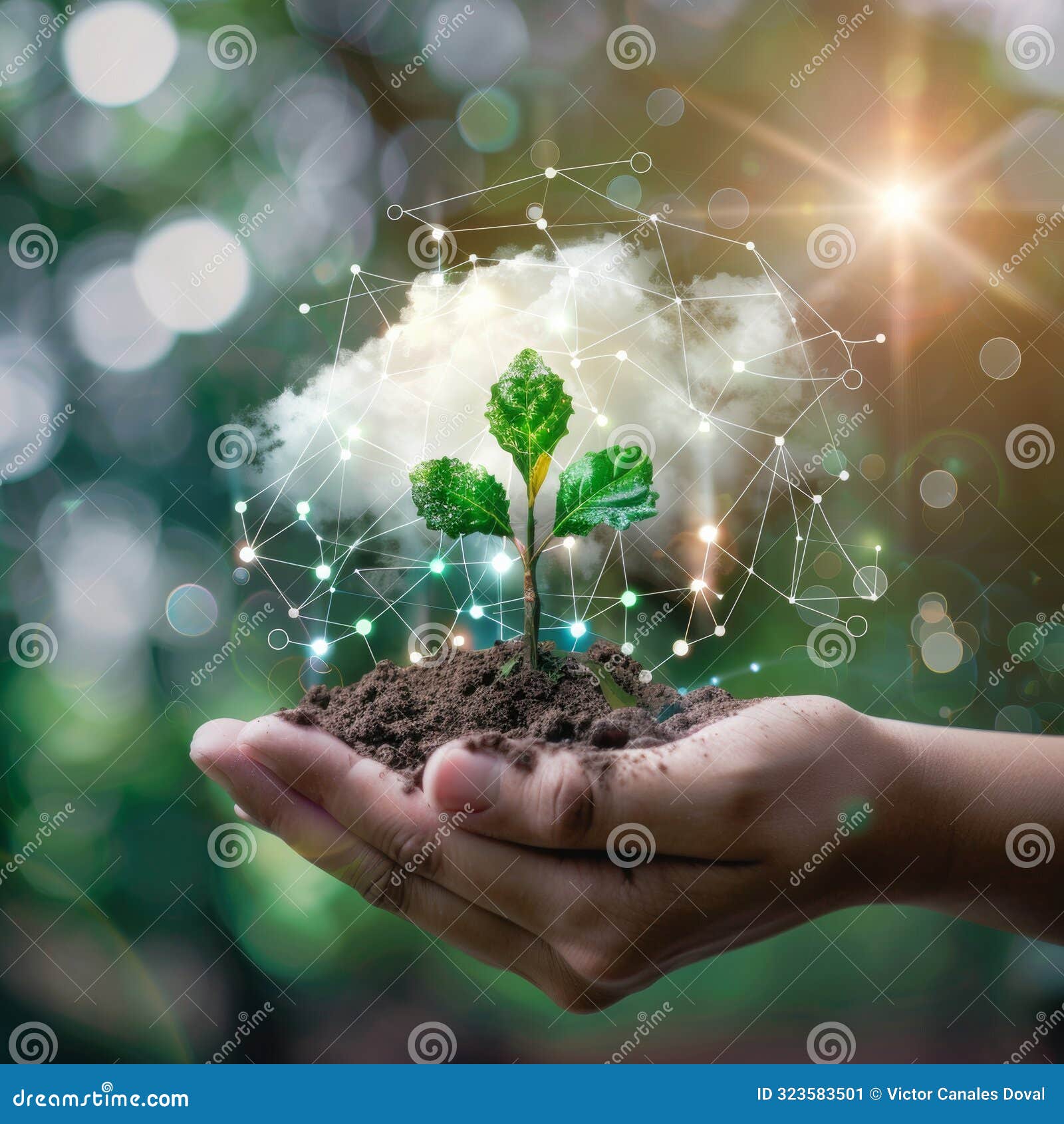 Hand Holding a Growing Small Tree with Help of AI. Innovation and ...