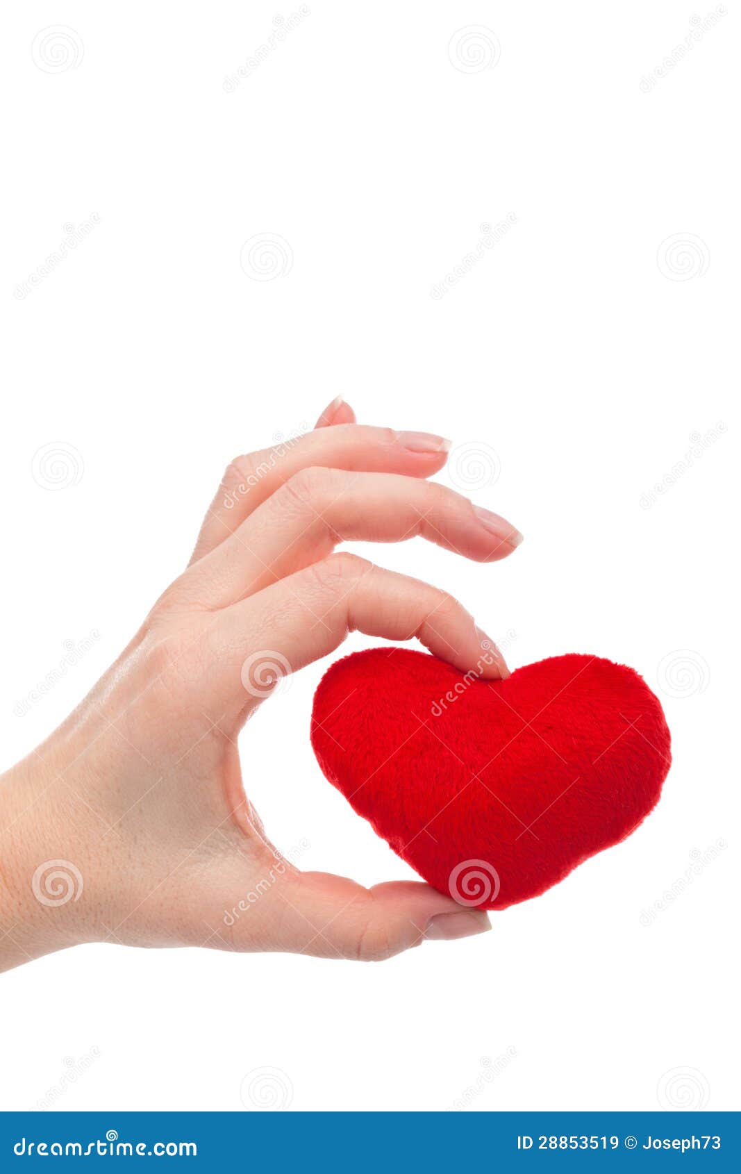 Hand holding heart stock image. Image of romantic, darling - 28853519