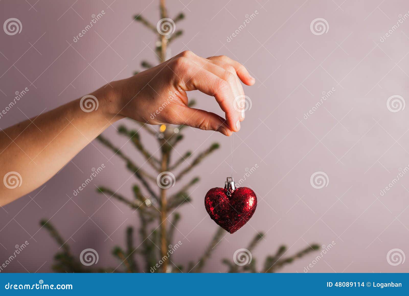 7,818 Hand Heart Tree Photos - Free & Royalty-Free Stock Photos from ...