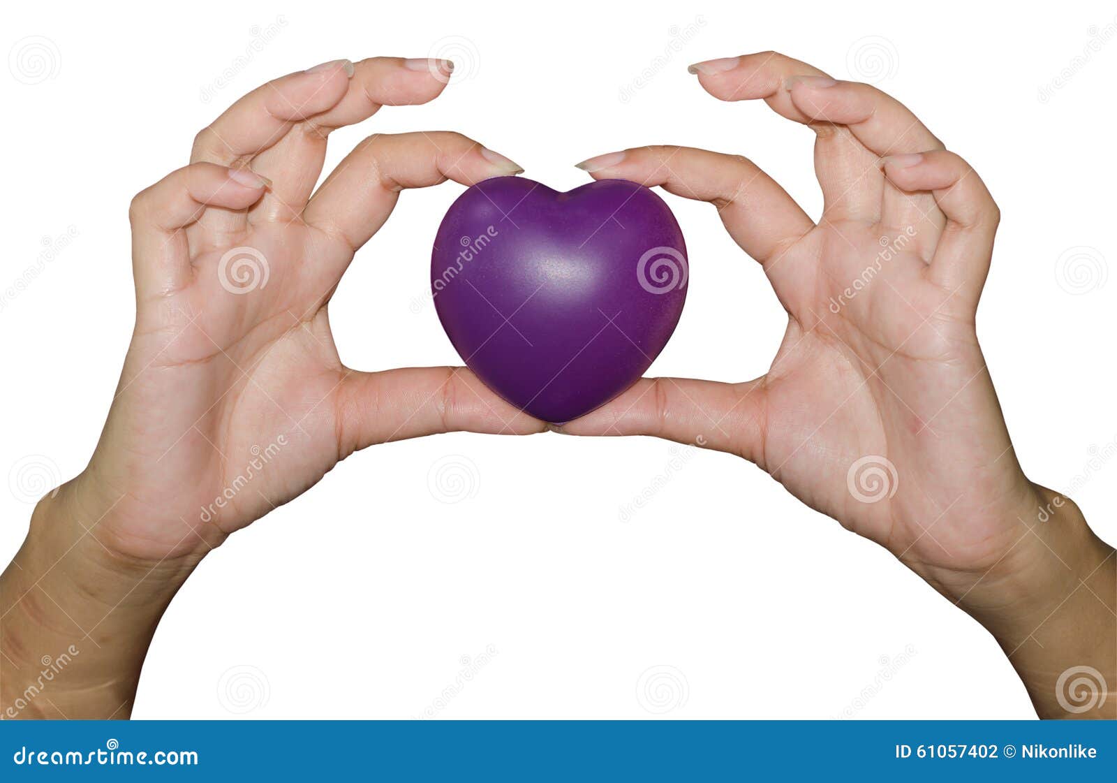 Hand Holding heart. stock photo. Image of heart, young - 61057402