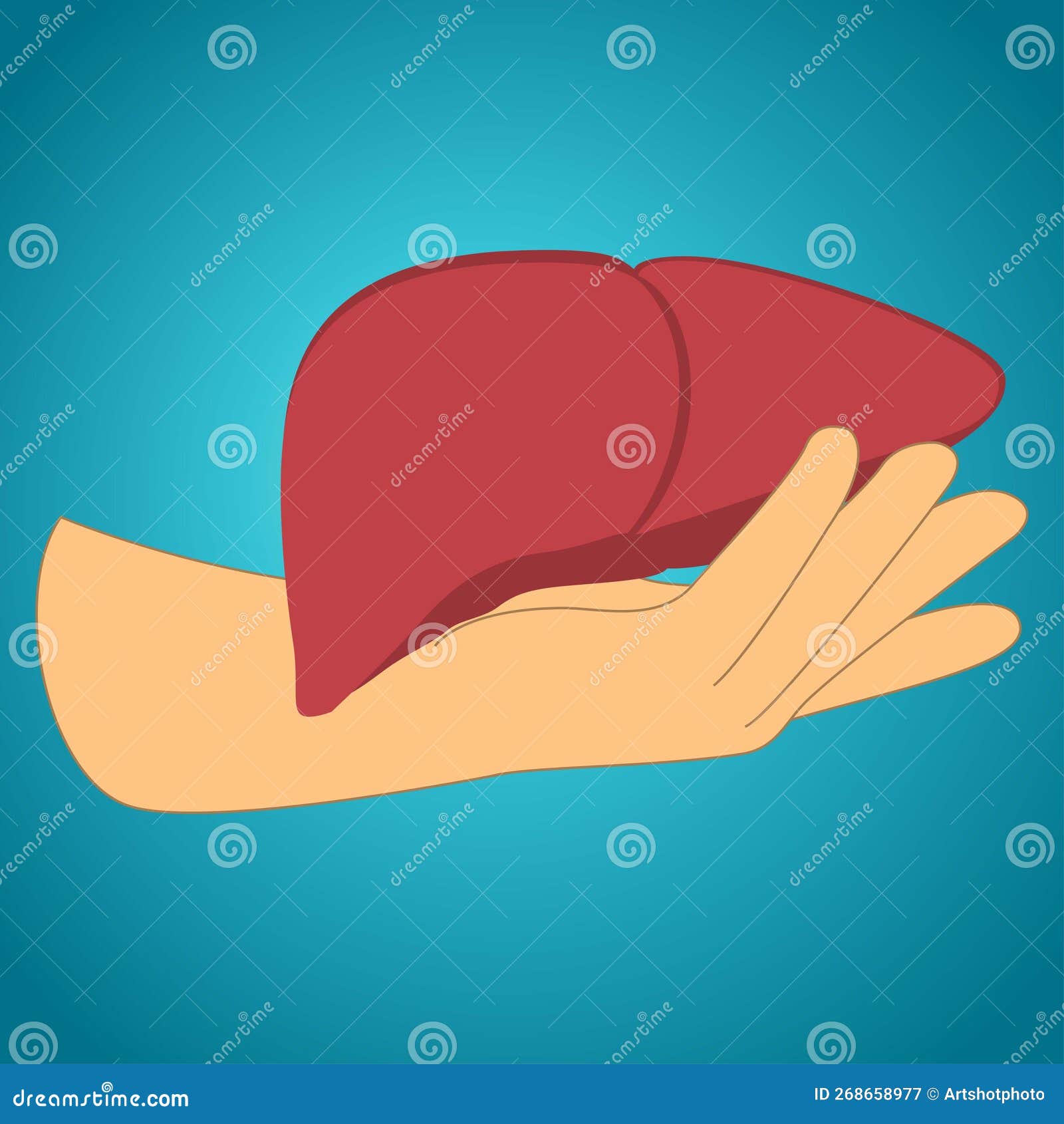 Hand holding a human liver stock vector. Illustration of organ - 268658977