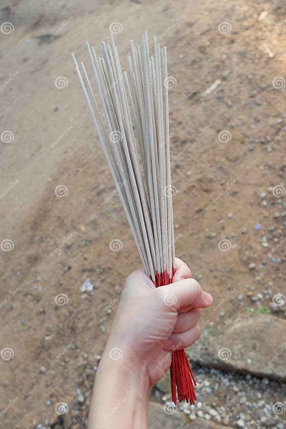Hand holding incense stock photo. Image of holding, bundle - 62532286