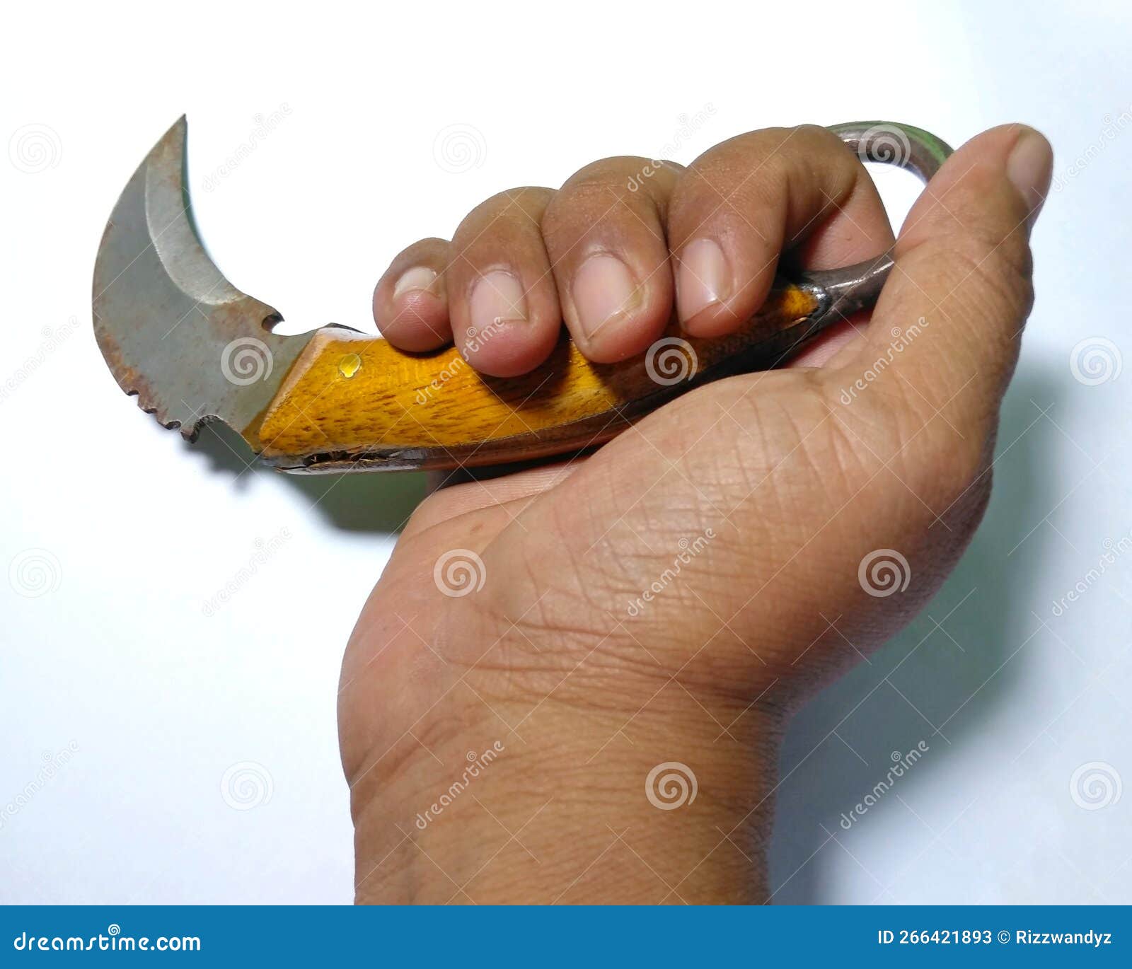The Hand Holding the Karambit Stock Image - Image of finger, person ...