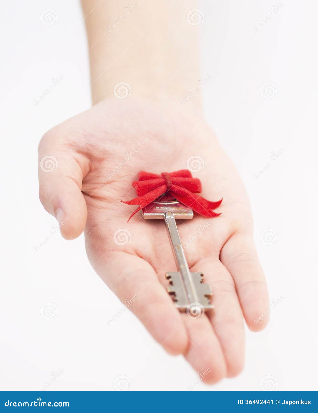 Hand holding a key stock image. Image of gift, door, owner - 36492441