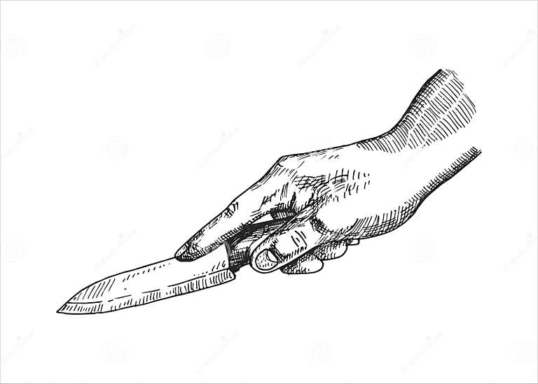 Hand Holding a Knife Vector Hand Drawing Stock Vector - Illustration of ...