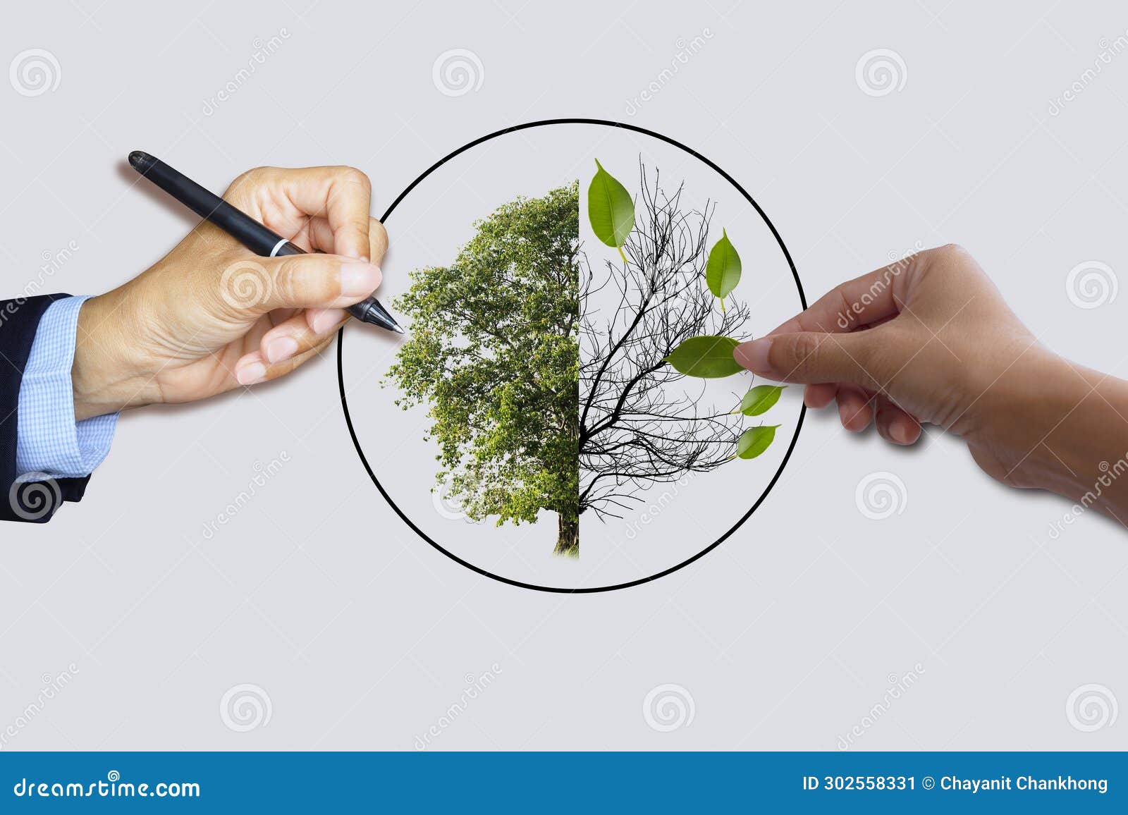 Half Alive and Half Dead Tree. Environment Concept. Global Warming ...