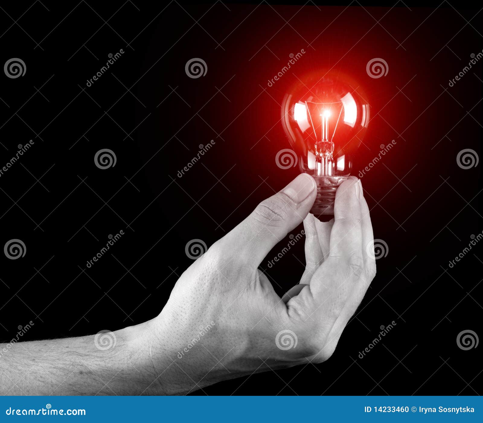 Hand holding light bulb stock photo. Image of bulb, glass - 14233460