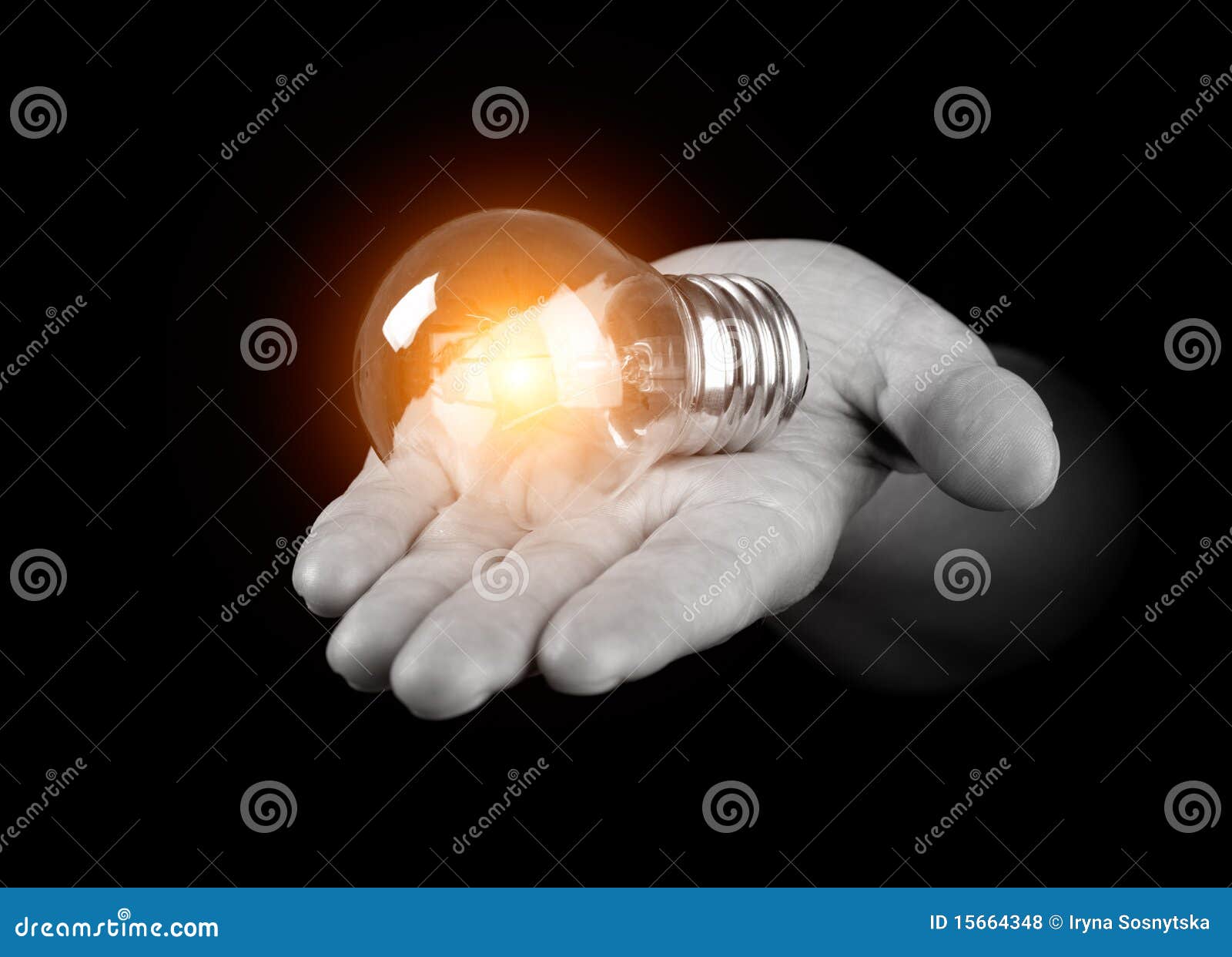 Hand holding light bulb stock photo. Image of good, energy - 15664348