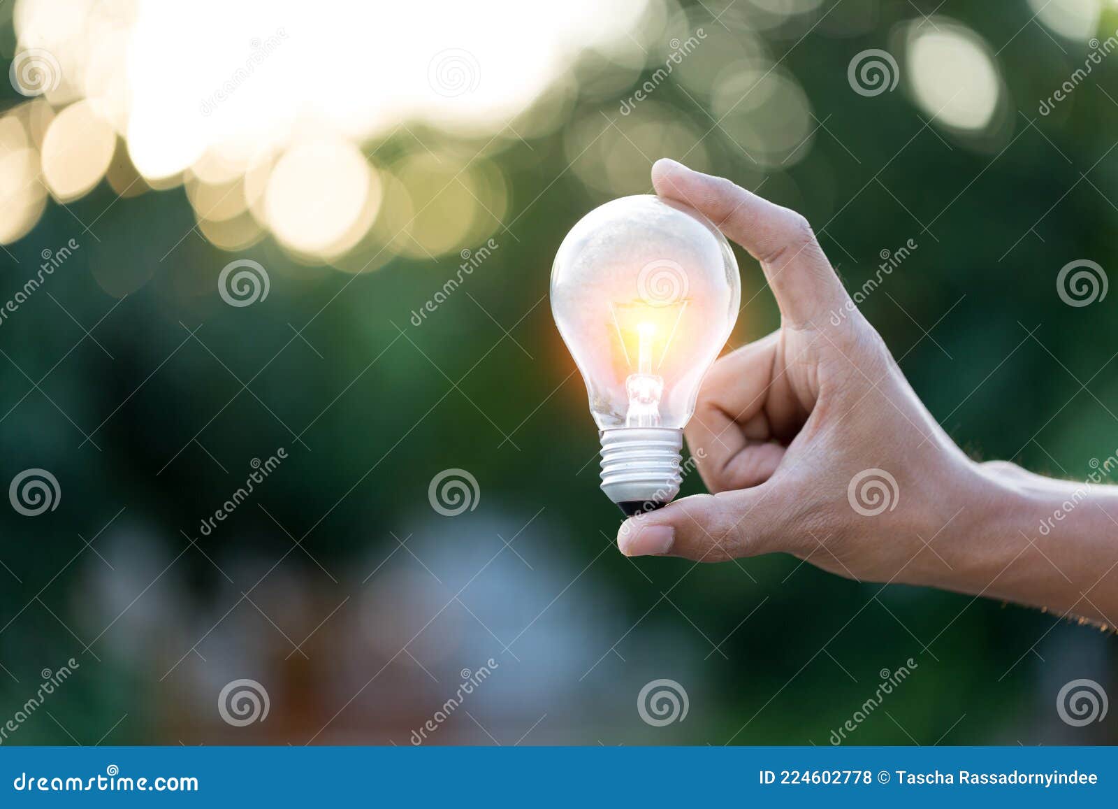 Hand Holding Light Bulb,energy Sources for Renewable,natural Energy ...