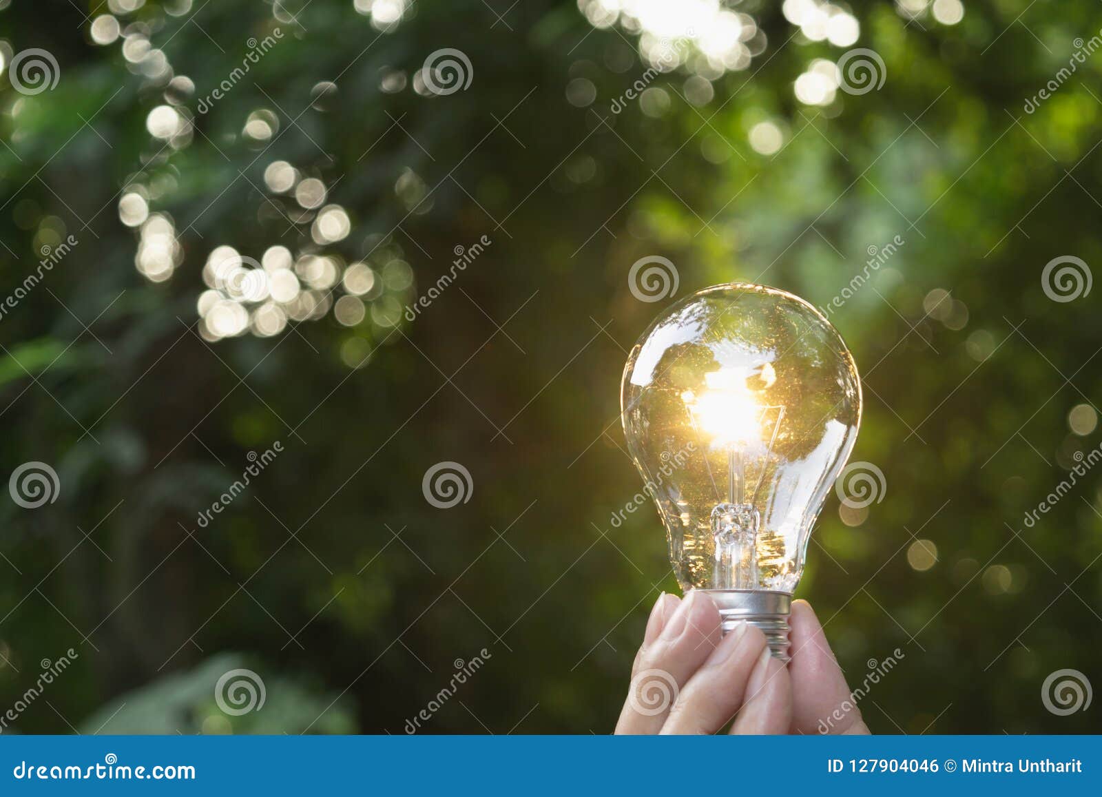 Hand Holding Light Bulb in Garden Green Nature Background. Stock Photo ...