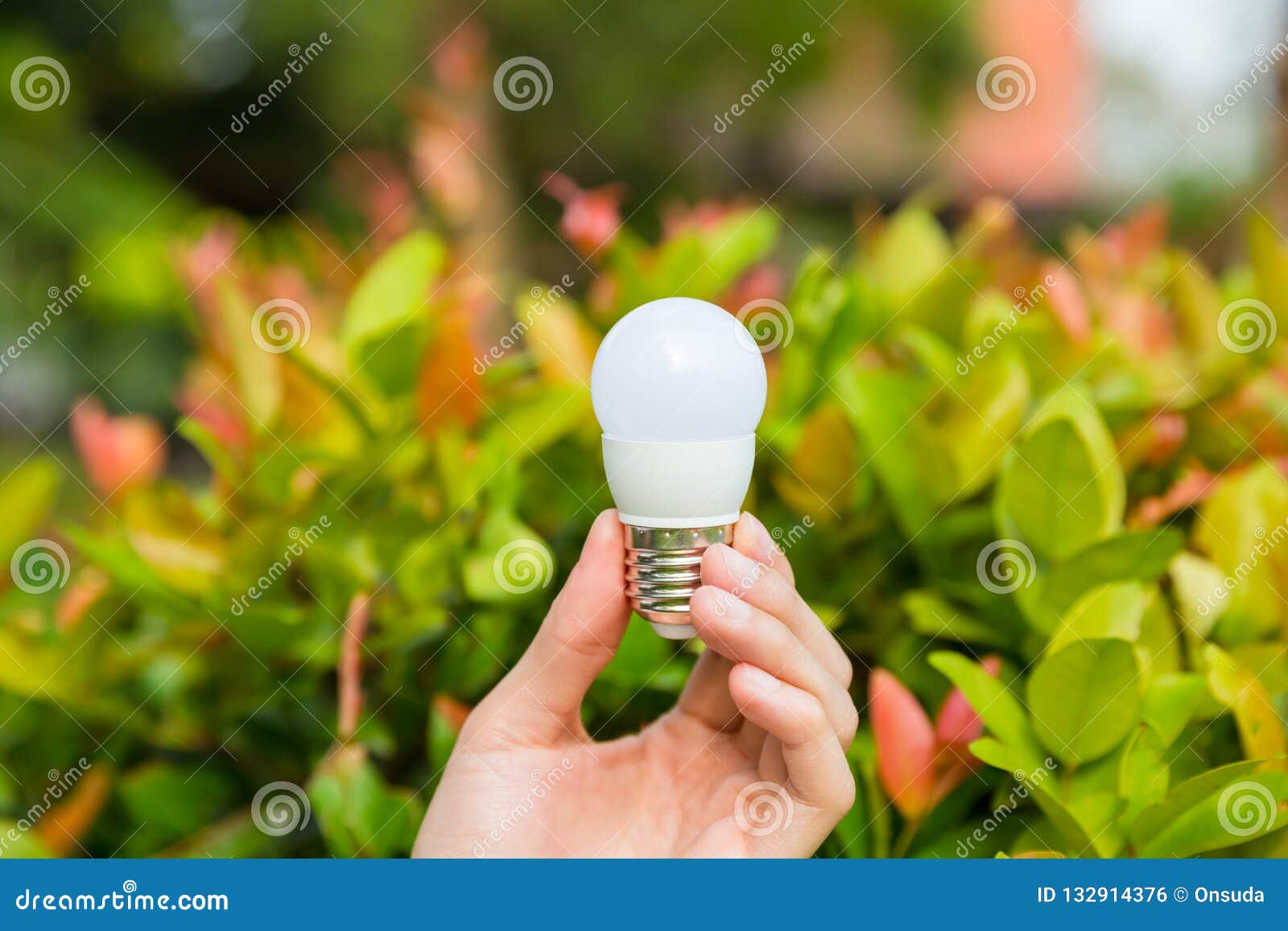 Hand with light bulb stock photo. Image of think, bulb - 132914376
