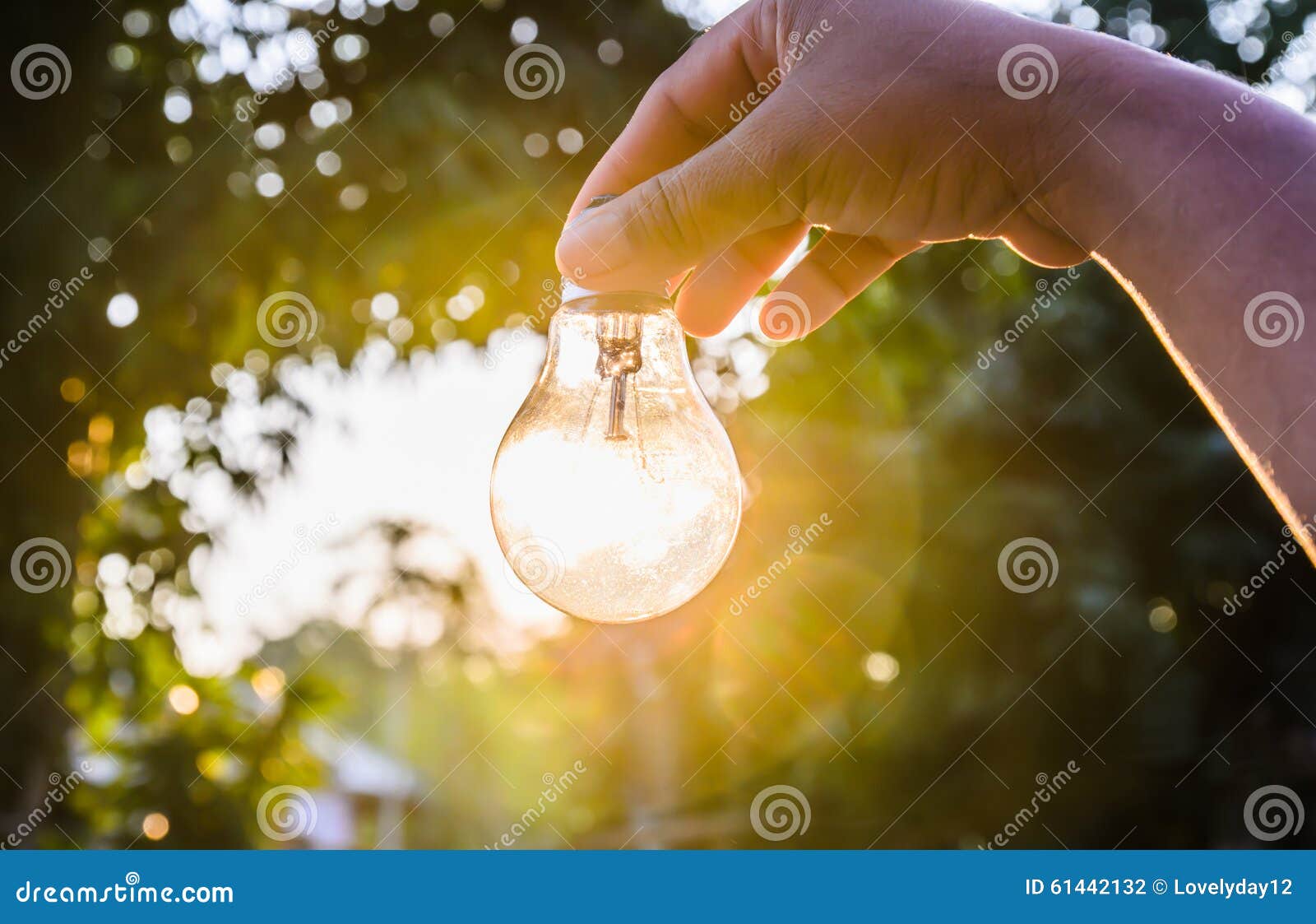 Sunset Power Concept Ecology Elements Energy Sources Stock Photo ...