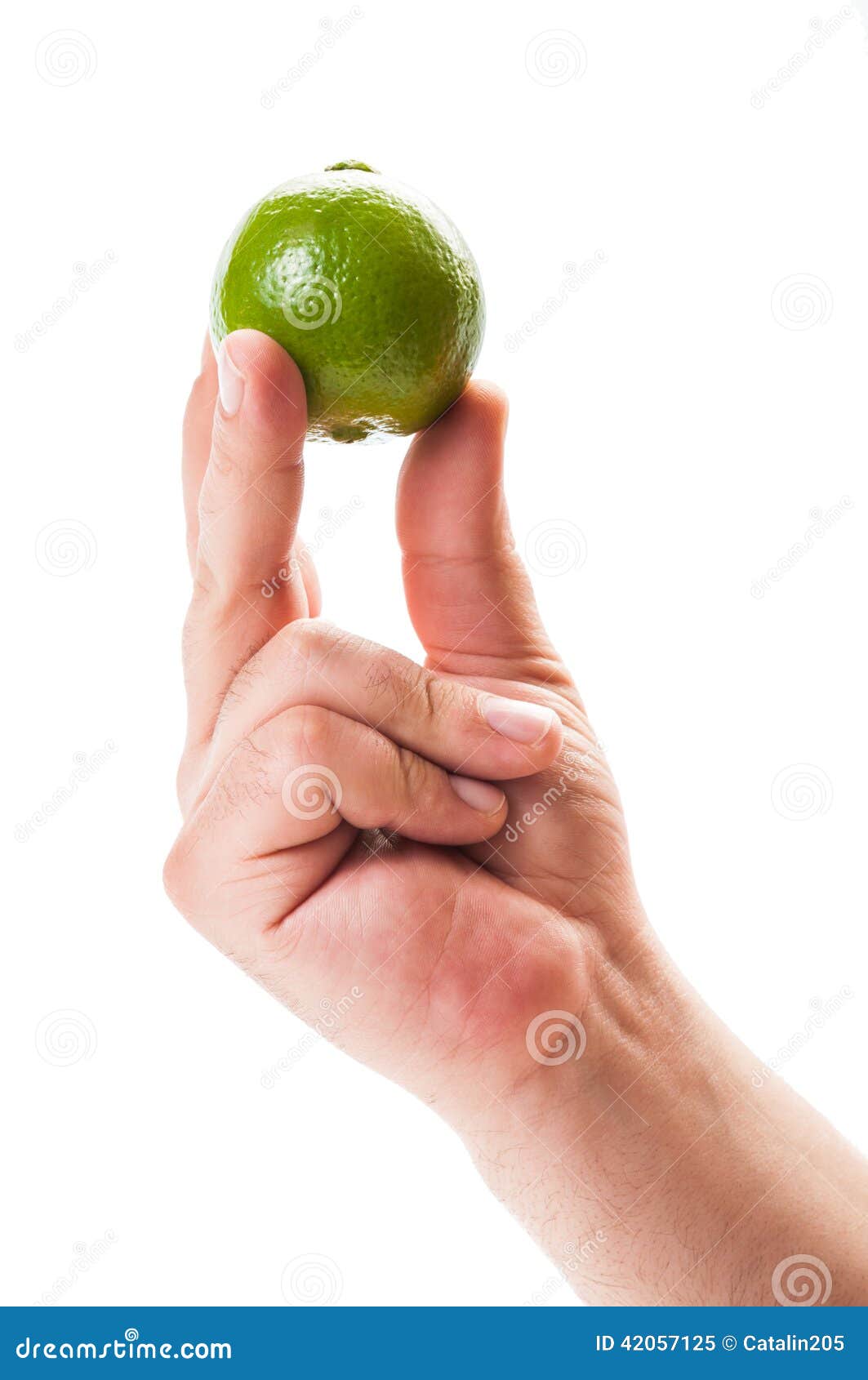 Hand holding a lime stock image. Image of garden, healthy - 42057125