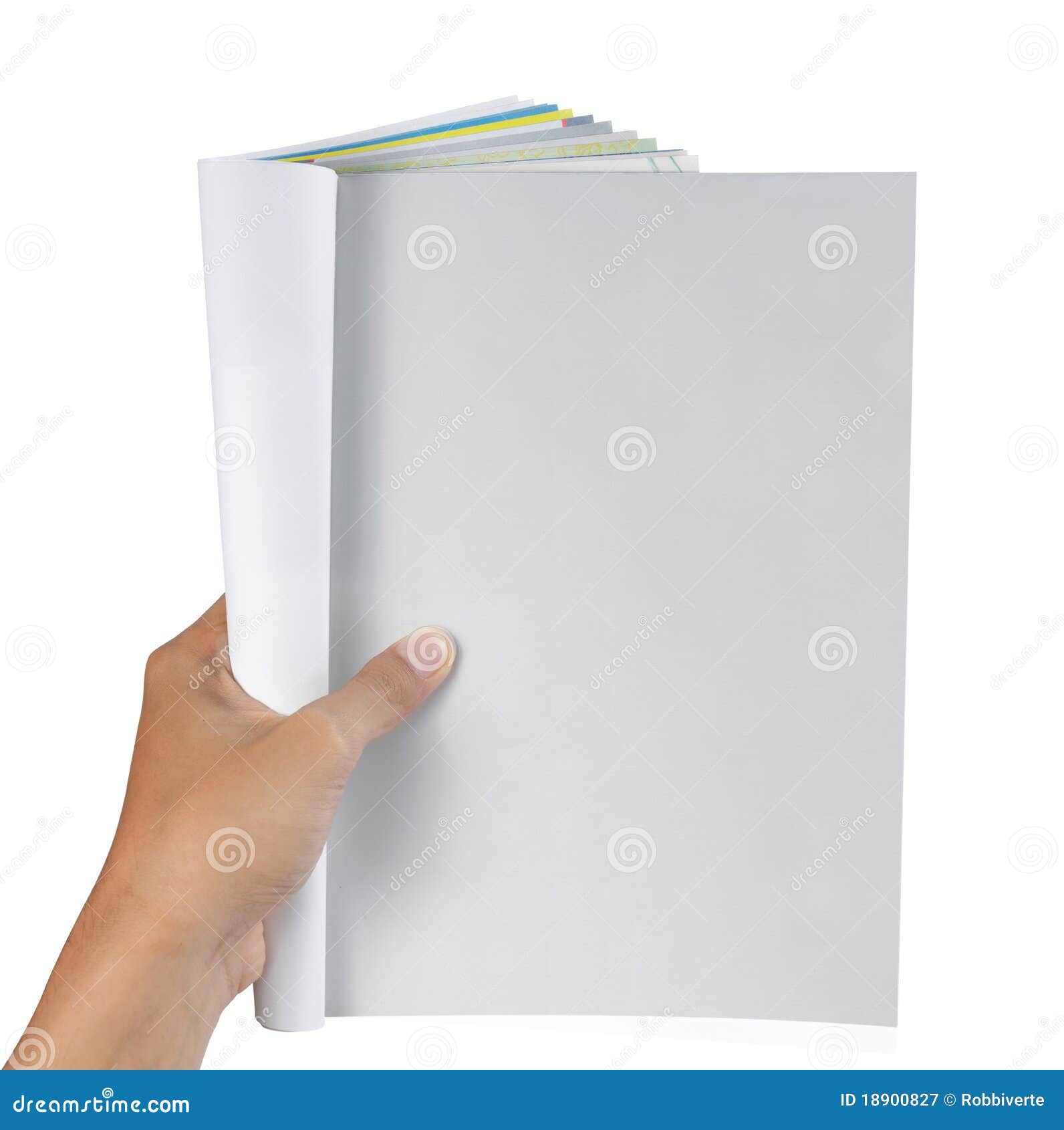Hand Holding Magazine Ready Design Stock Photos - Free & Royalty-Free ...