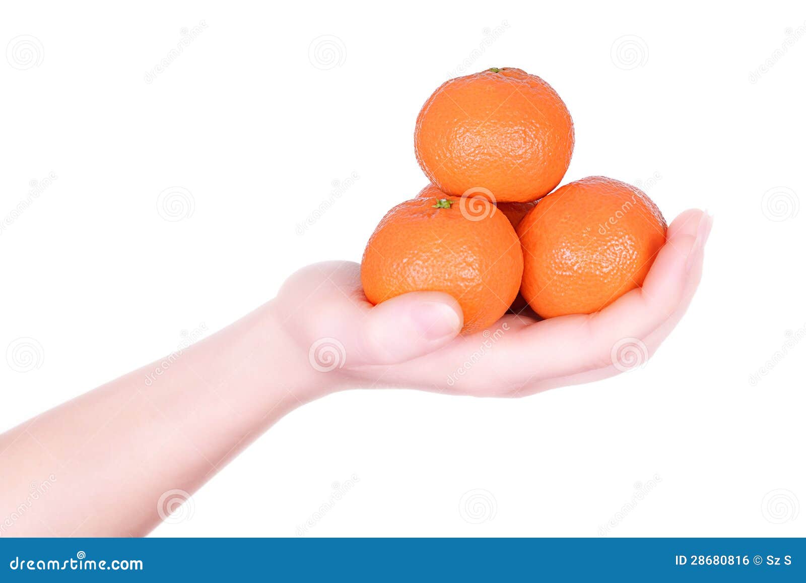 Hand holding mandarin stock photo. Image of fruit, healthy - 28680816
