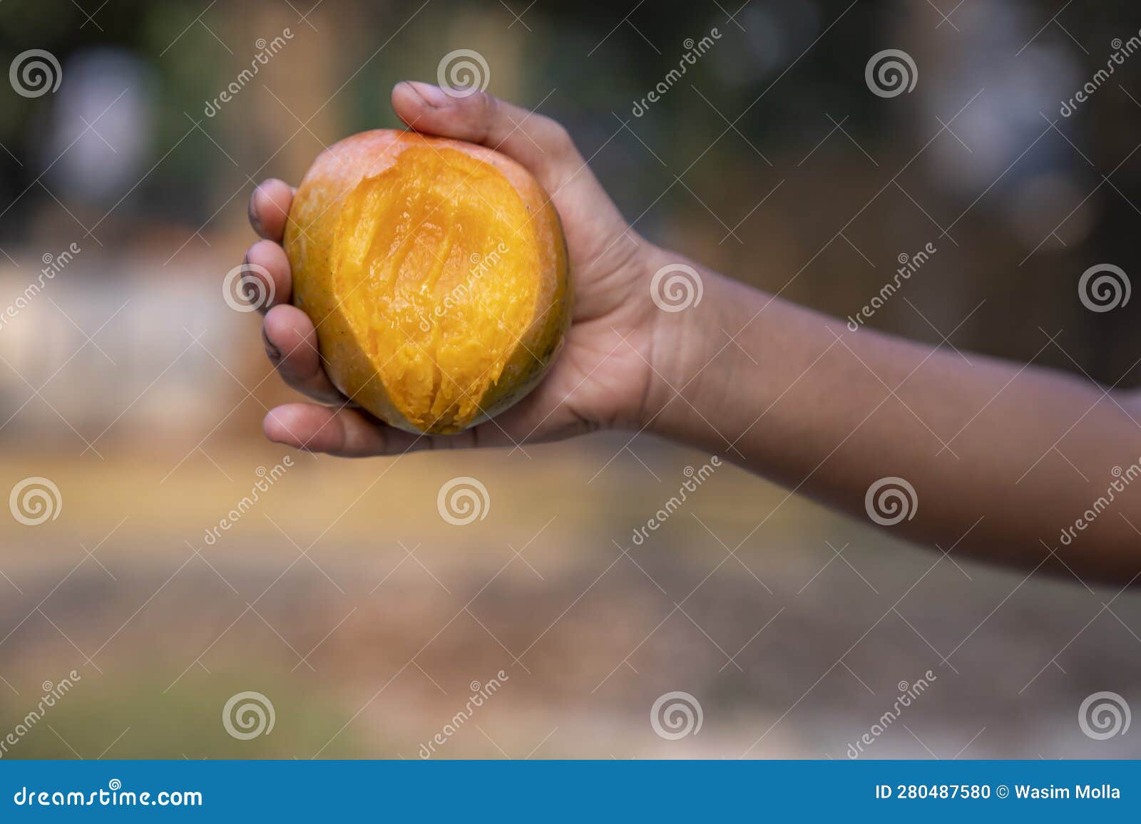 Hand-holding Mango Bite on Blurred Background, Selective Focus with ...